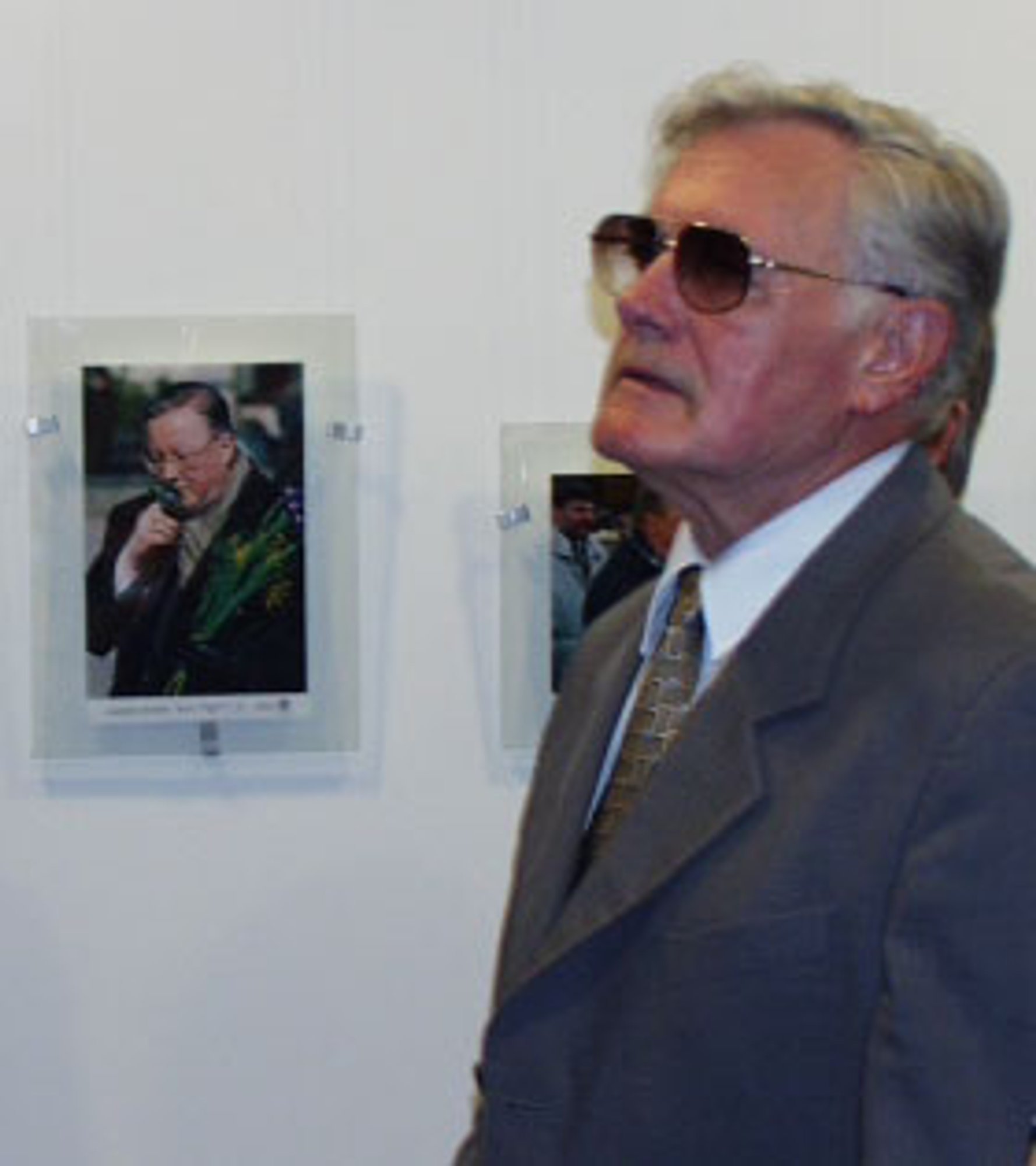 V.Adamkus pirmauja tarp kandidatų į prezidento postą - Delfi