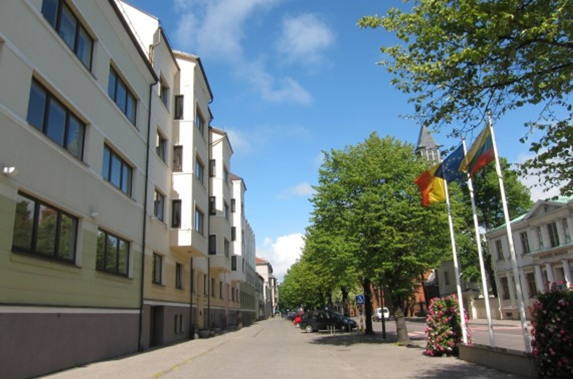 Uostamiesčio konservatoriai pasitvirtino rinkimų sąrašą - Delfi