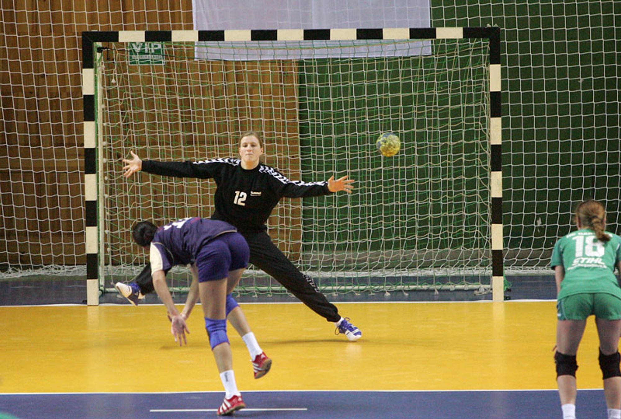 Lietuvos moterų rankinio lygoje - Vilniaus ir Garliavos klubų - Delfi ...