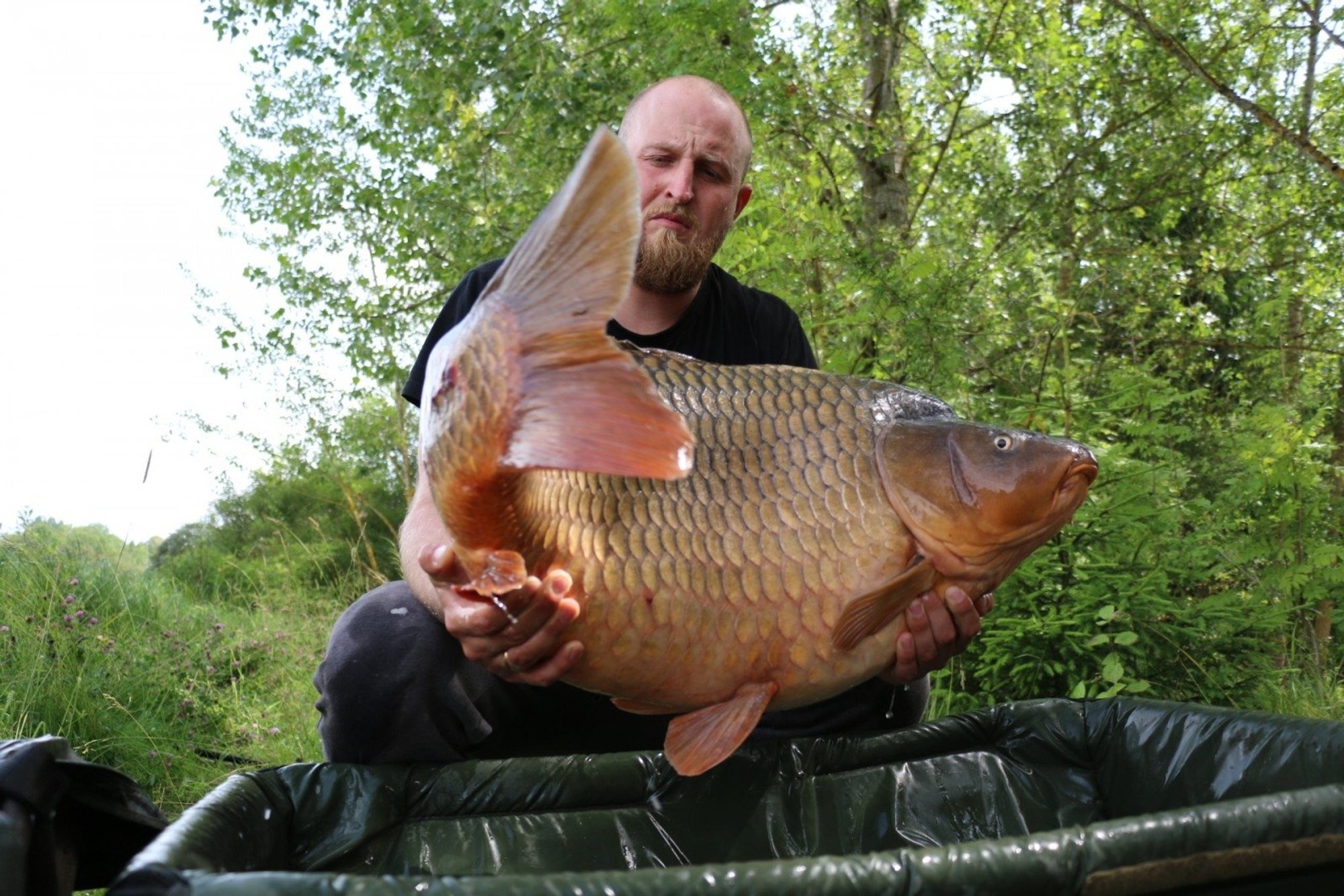 Pagerintas karpininkų rekordas: sugavo didžiausią Lietuvos karpį ...
