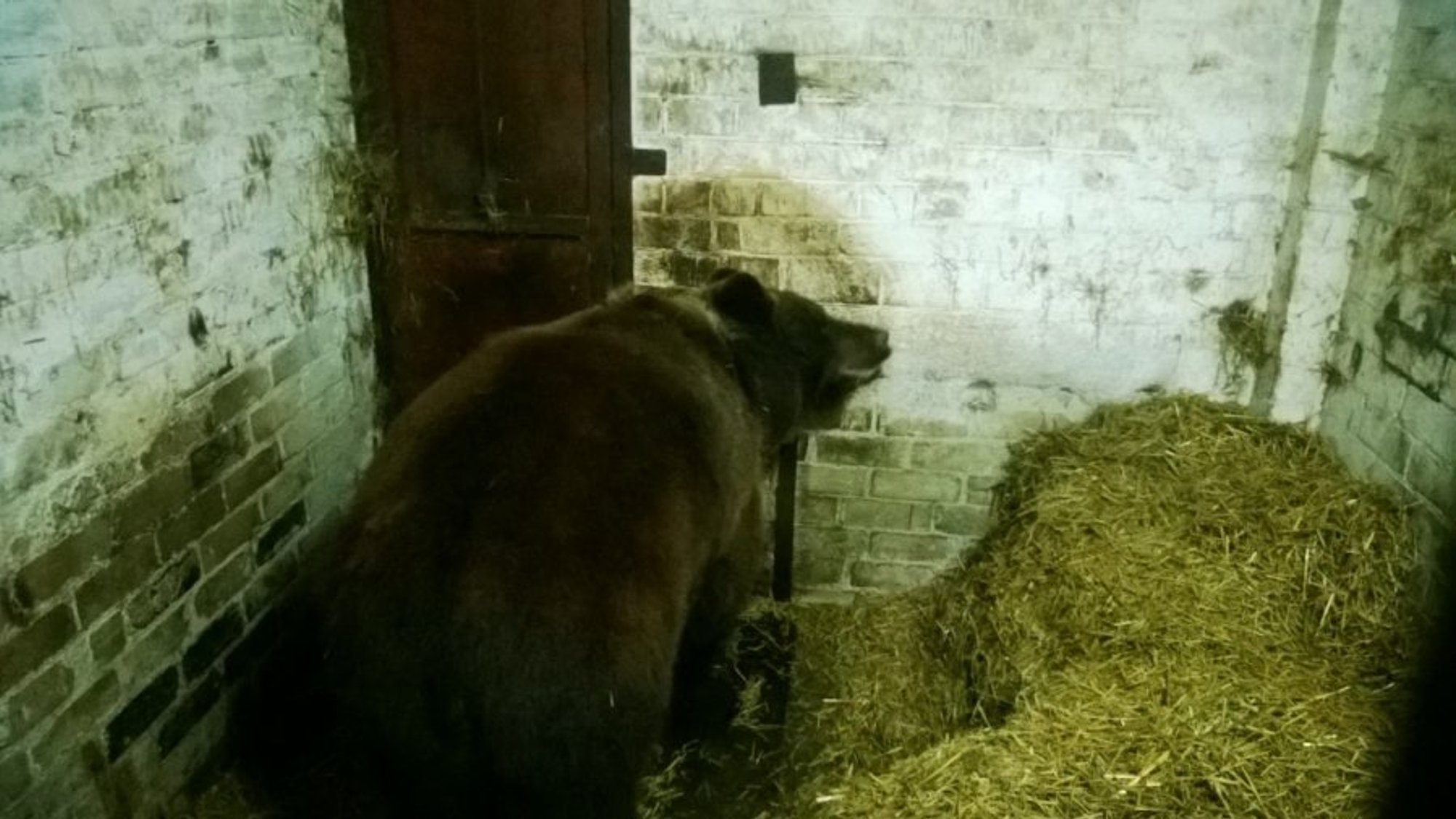 Iš Klaipėdos „Mini Zoo“ konfiskuoti keli gyvūnai - Delfi grynas