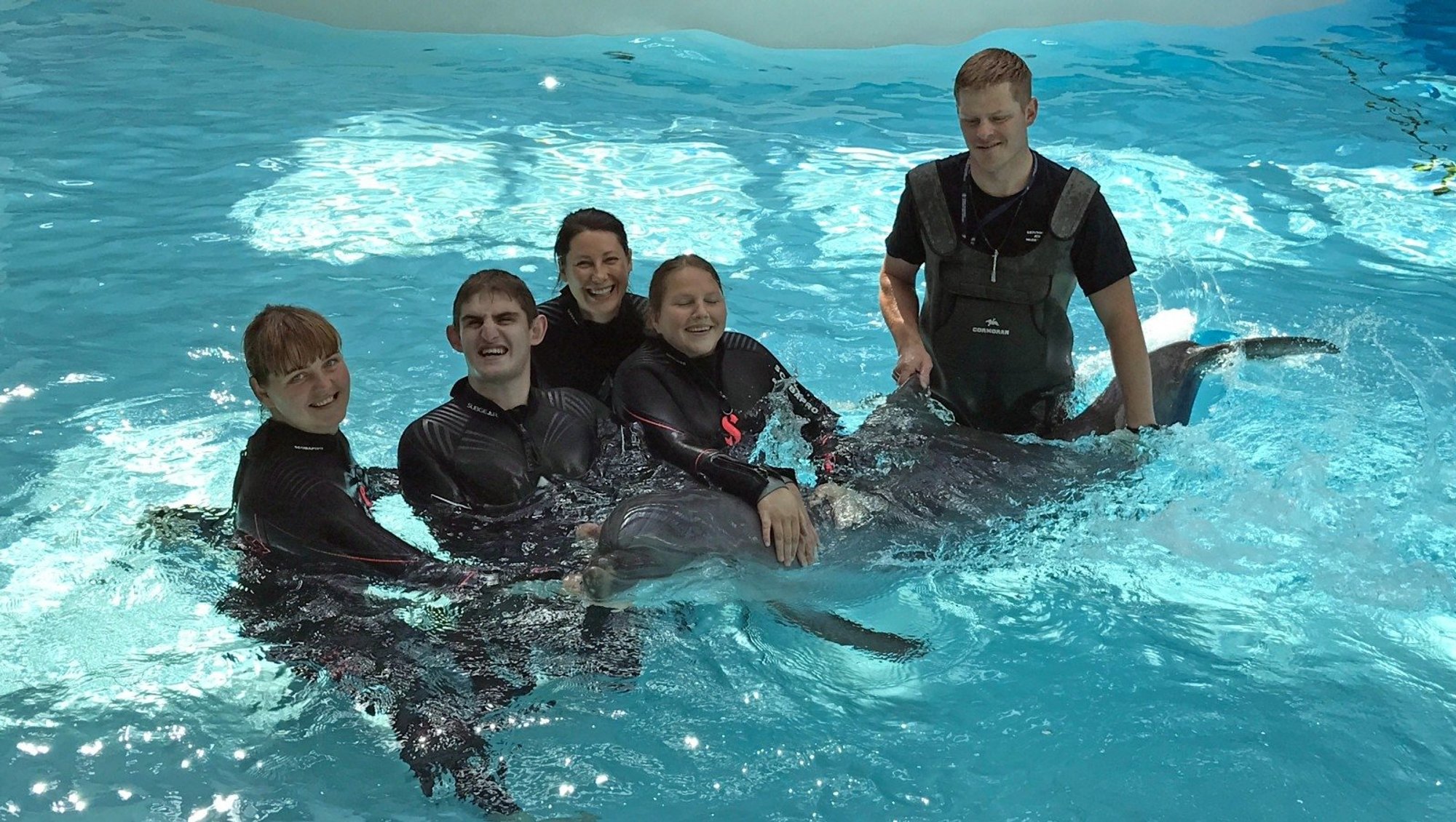 Kaip prausiasi delfinai? Akla pažintis su jūros padūkėliais - Delfi