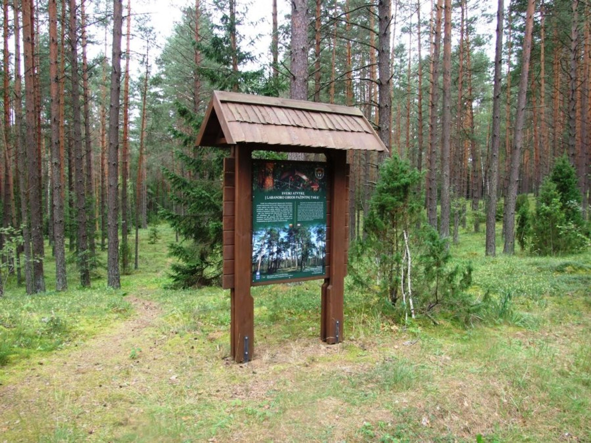 Labanoro regioninis parkas. Labanoro girios pažintinis takas - Delfi grynas