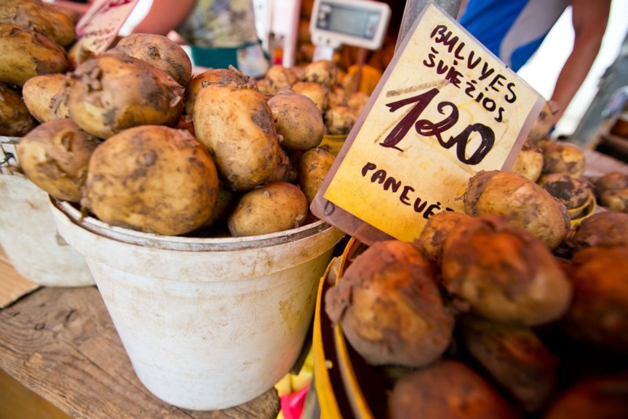 Šiemet valgysime egiptietiškas bulves? - Delfi grynas