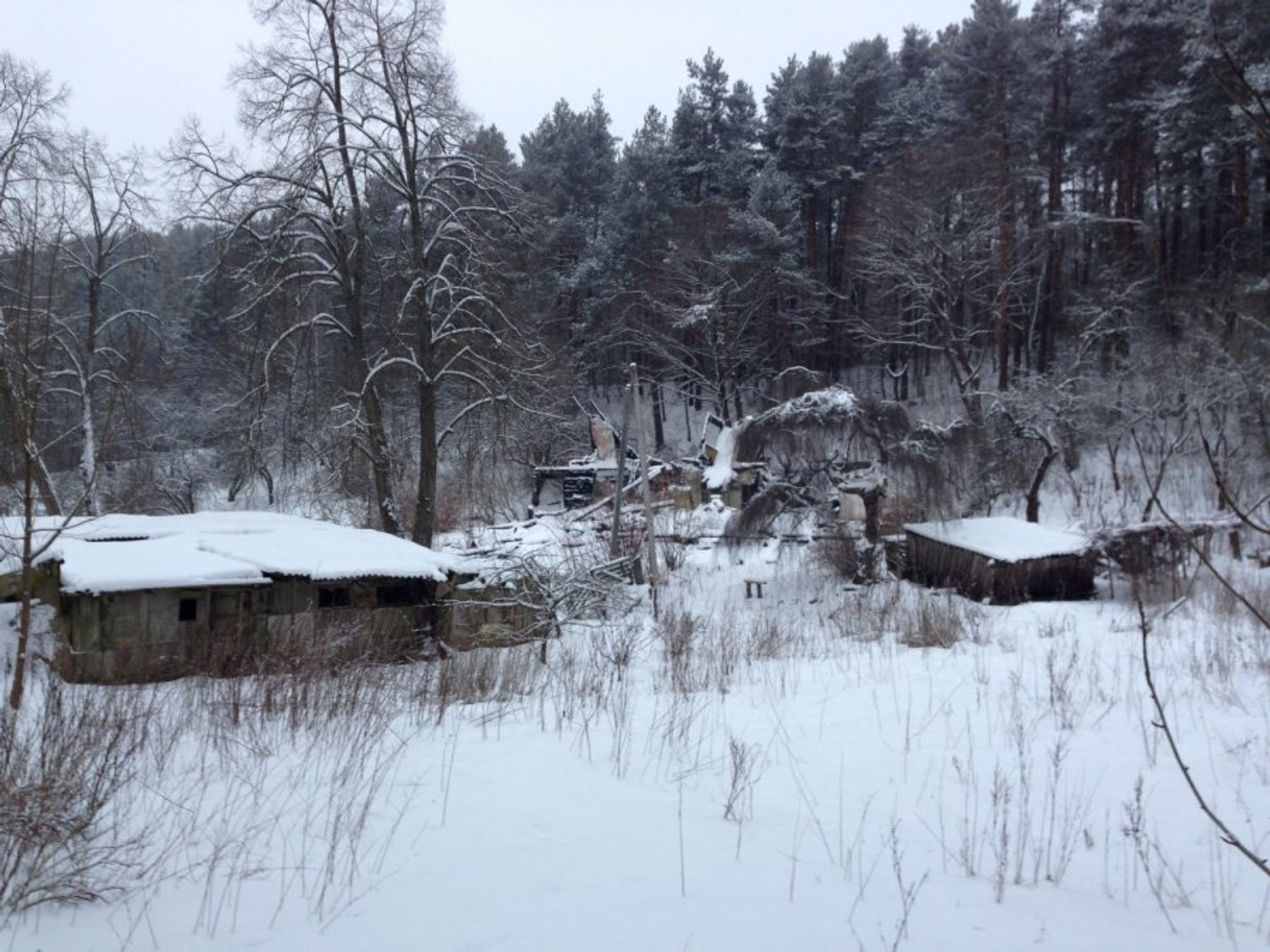 Ligota senutė dėl šiukšlių mokesčių randama net Vilniuje - Delfi grynas