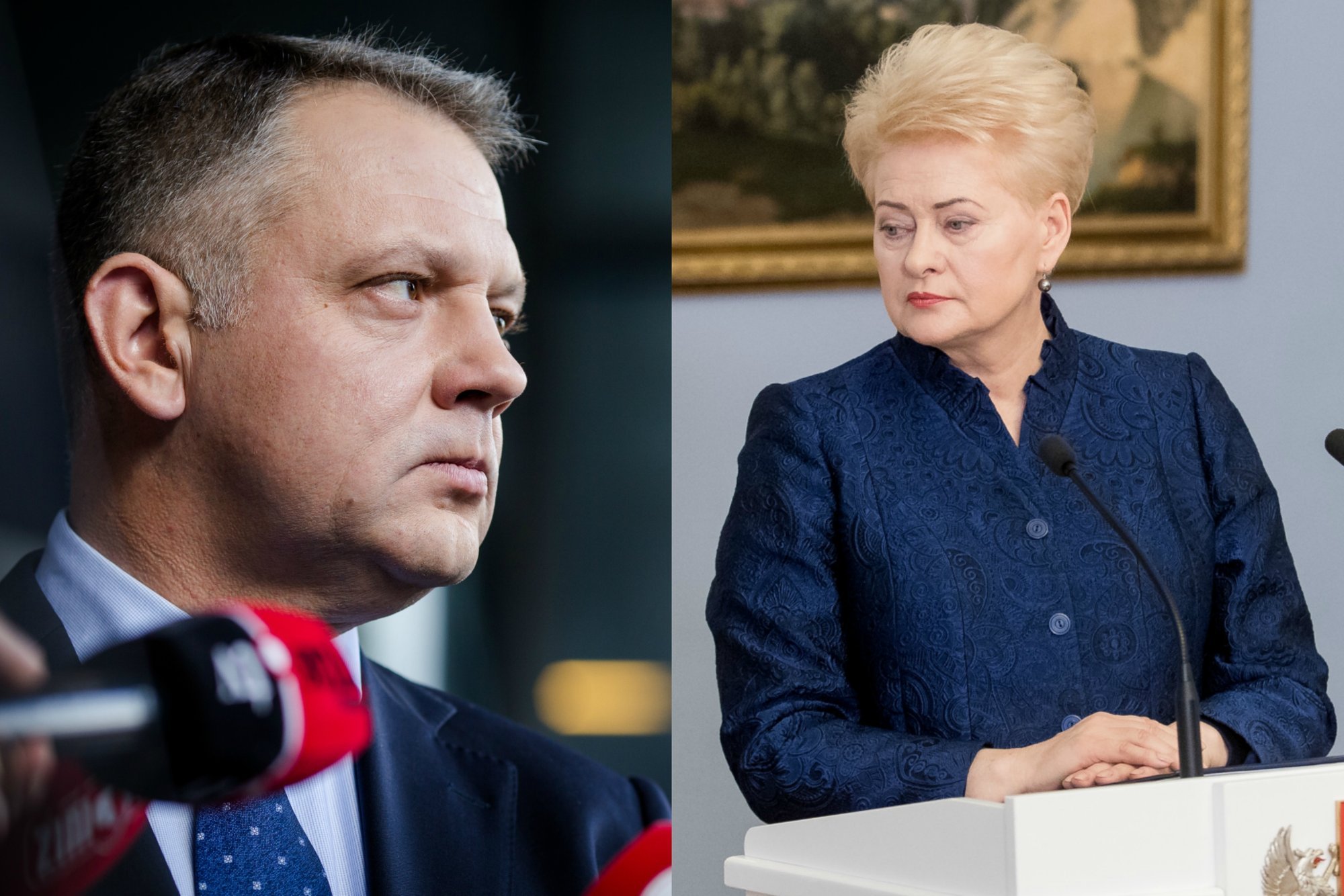 President says her emails with Masiulis were misinterpreted - Delfi EN