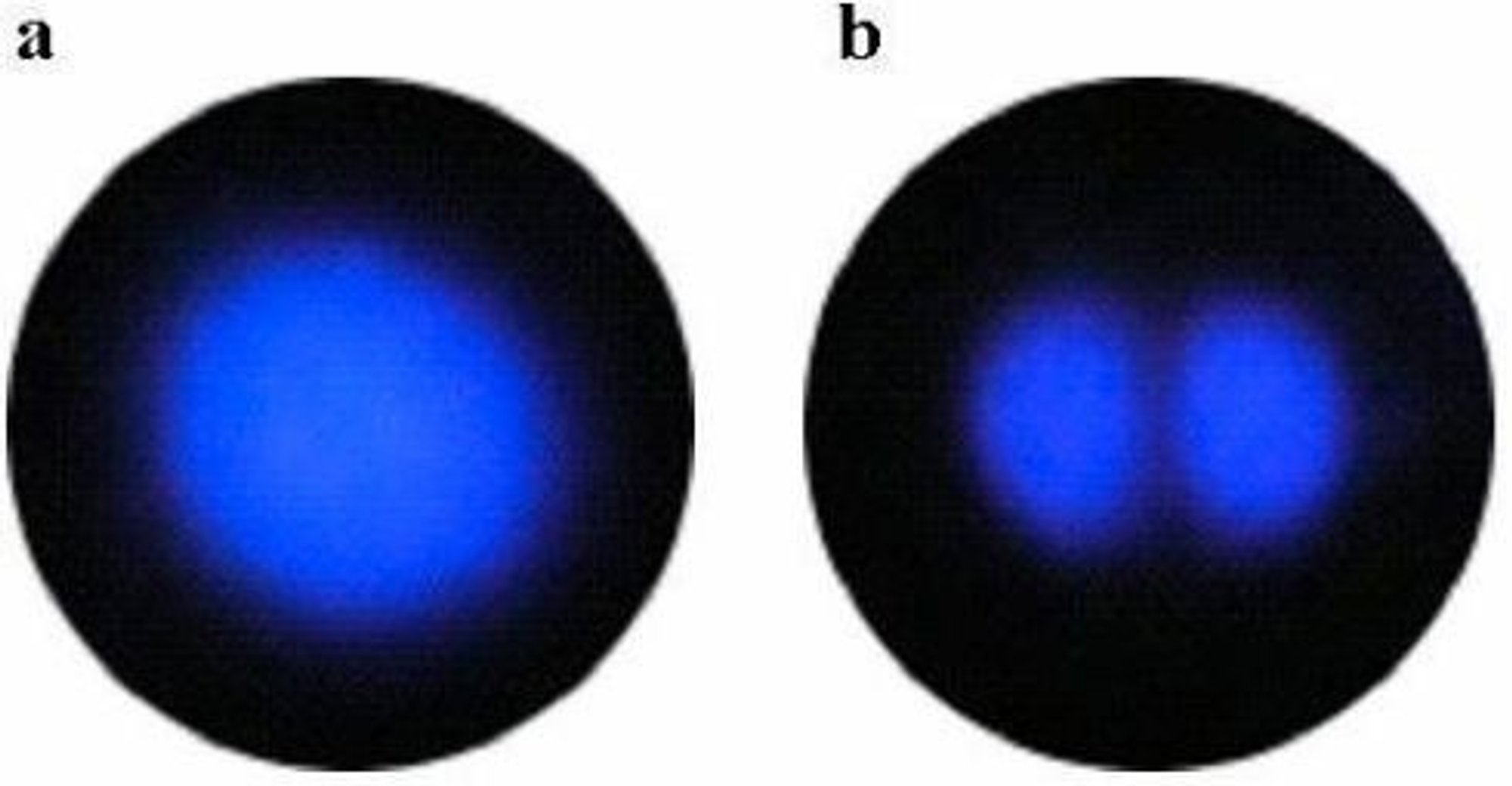 Nufotografuotas anglies atomo elektronų debesis - Delfi mokslas