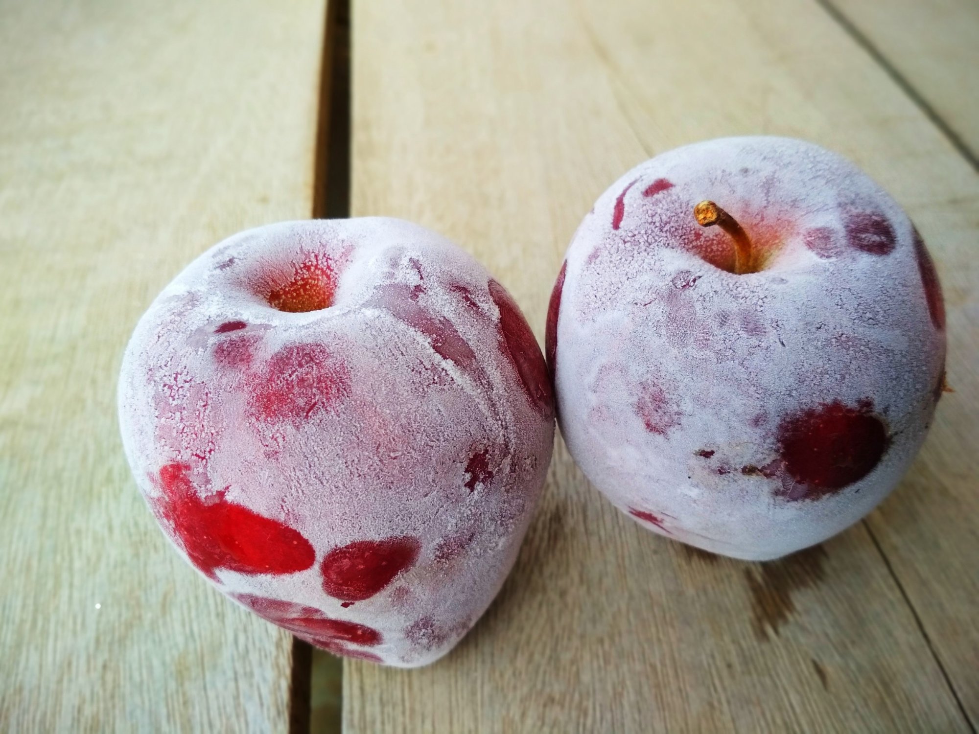 Obuolių šaldymas žiemai: 5 patikrinti ir ypač paprasti būdai - Delfi ...