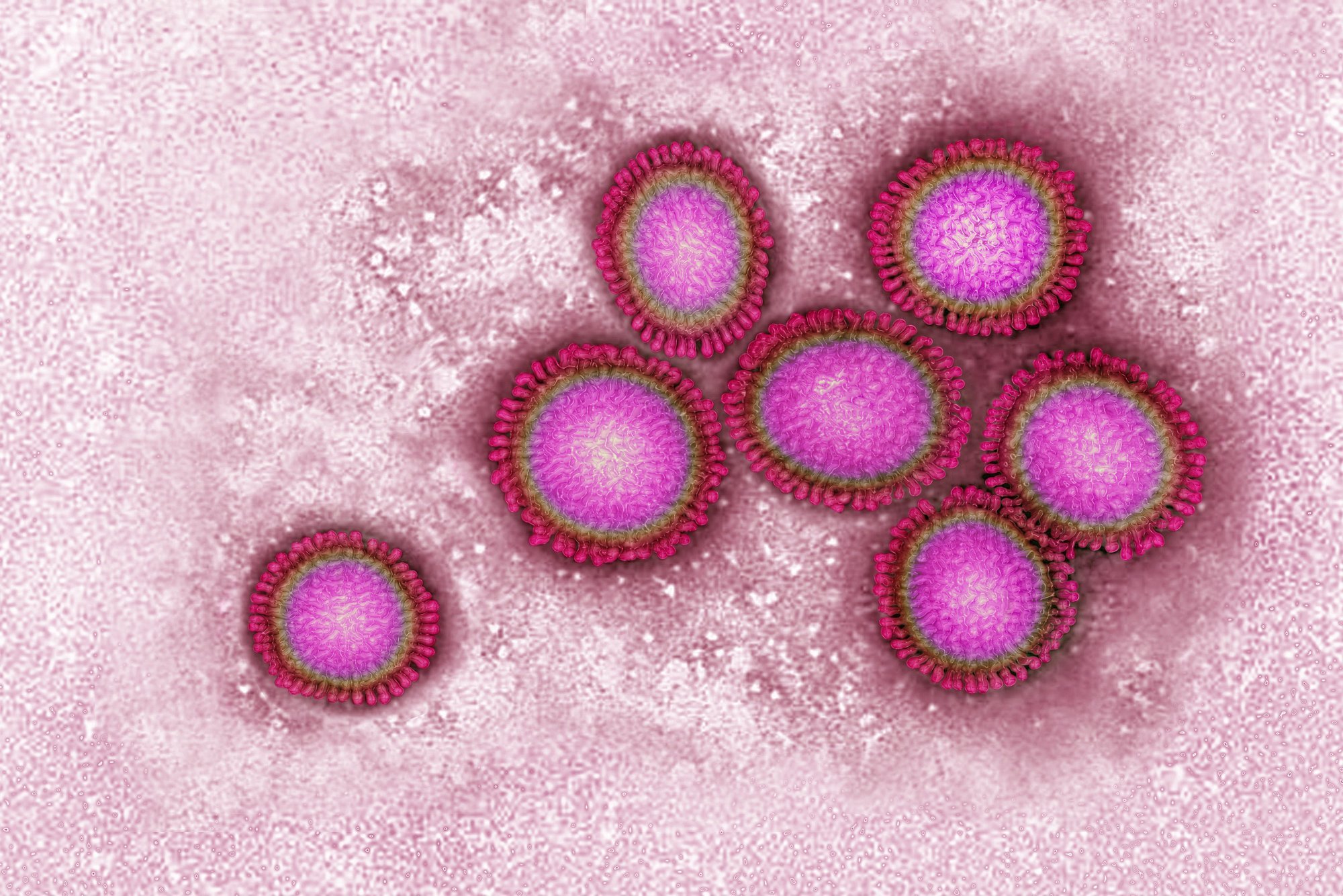 Mokslininkų pergalė laboratorijoje – aptikta nauja gripo virusą ...