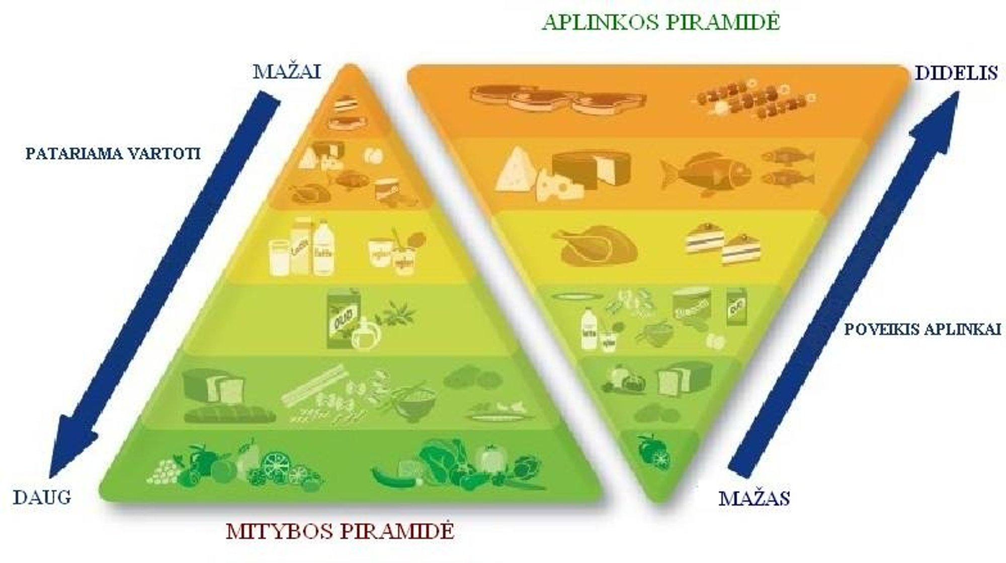 Nauja mitybos piramidė: kas nesveika mums ir kas nesveika aplinkai ...
