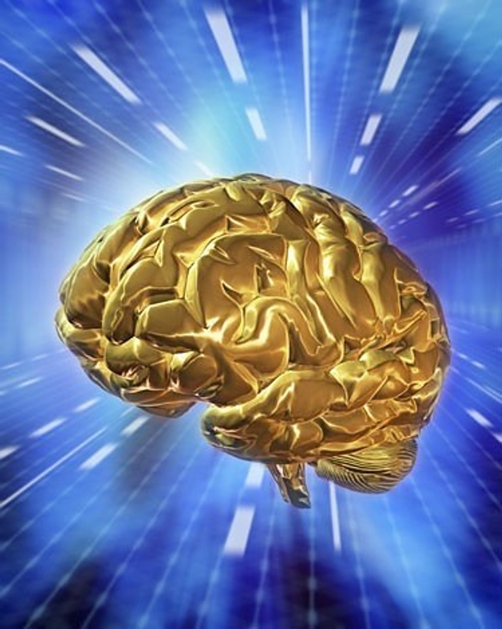 Įdomybės apie mus: neįtikėtina, bet smegenys traukiasi - Delfi gyvenimas