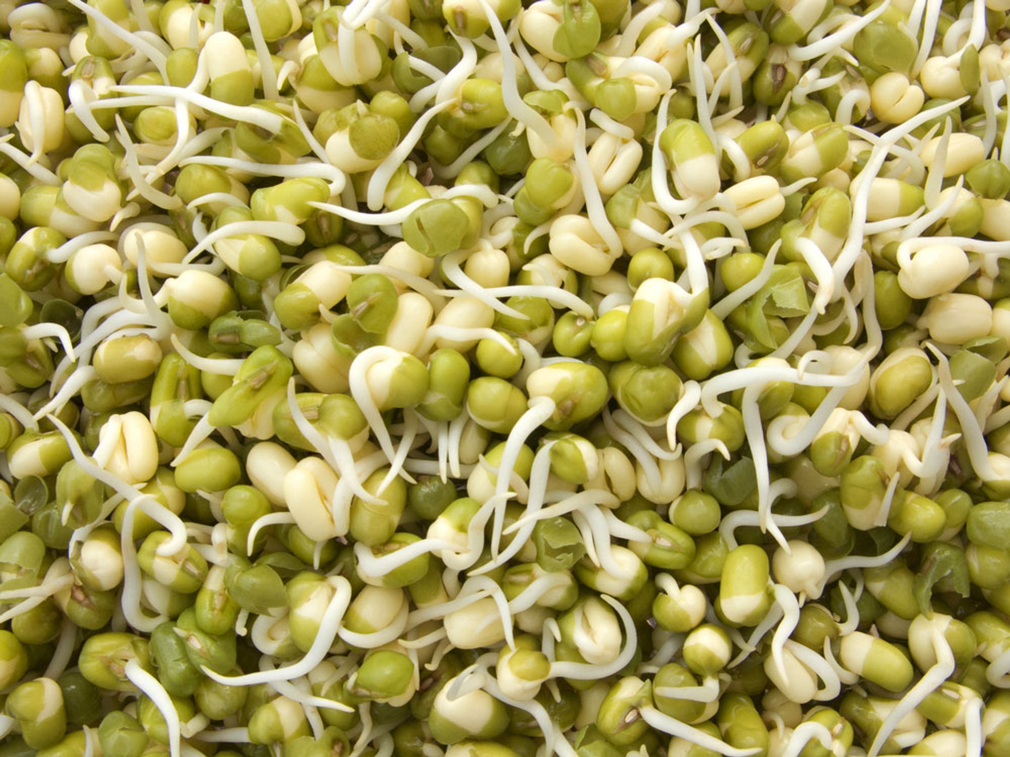 Daiginti grūdai - vitaminų šaltinis - Delfi gyvenimas