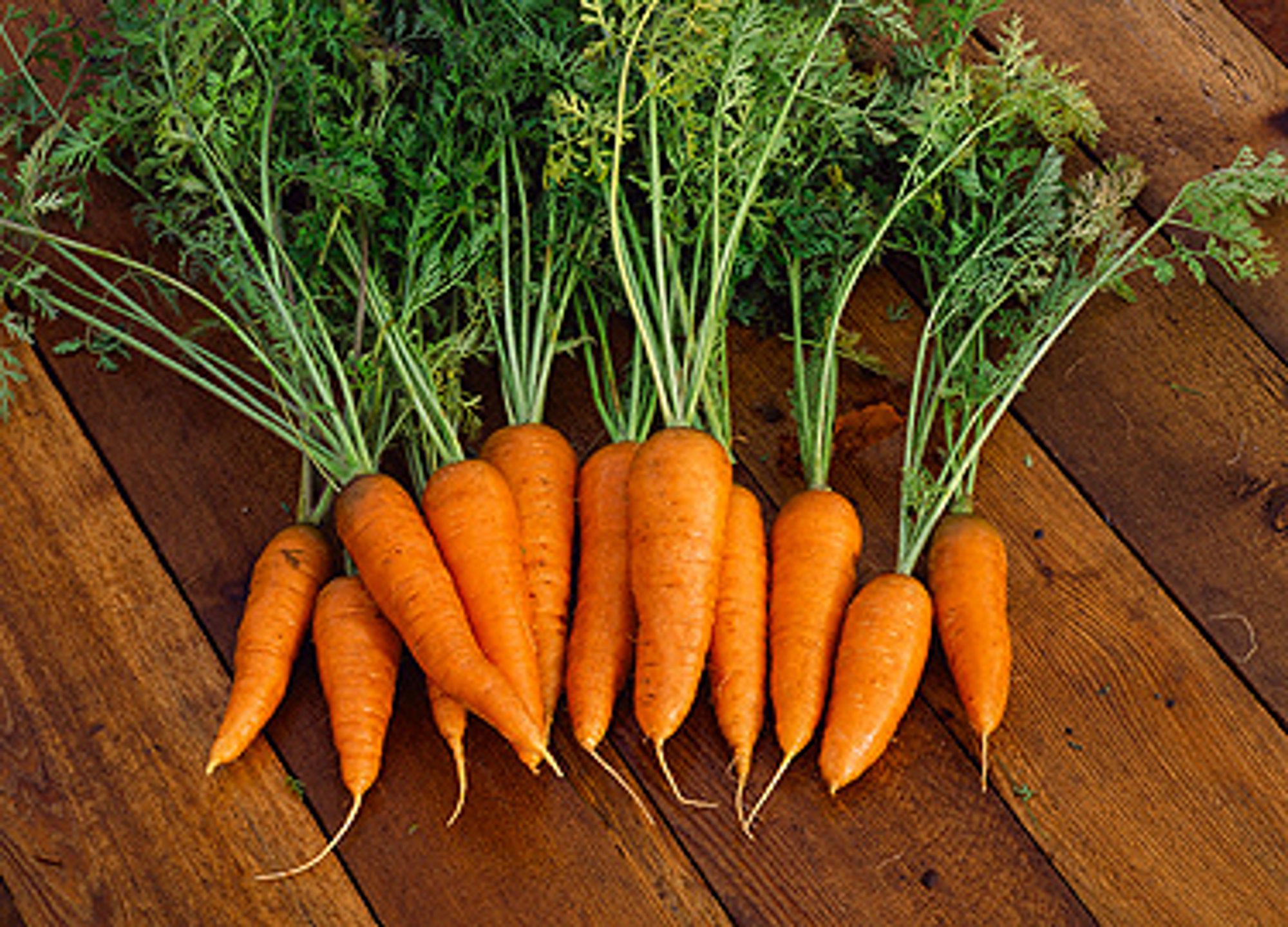 Morkų ir brinzos salotos - Delfi gyvenimas