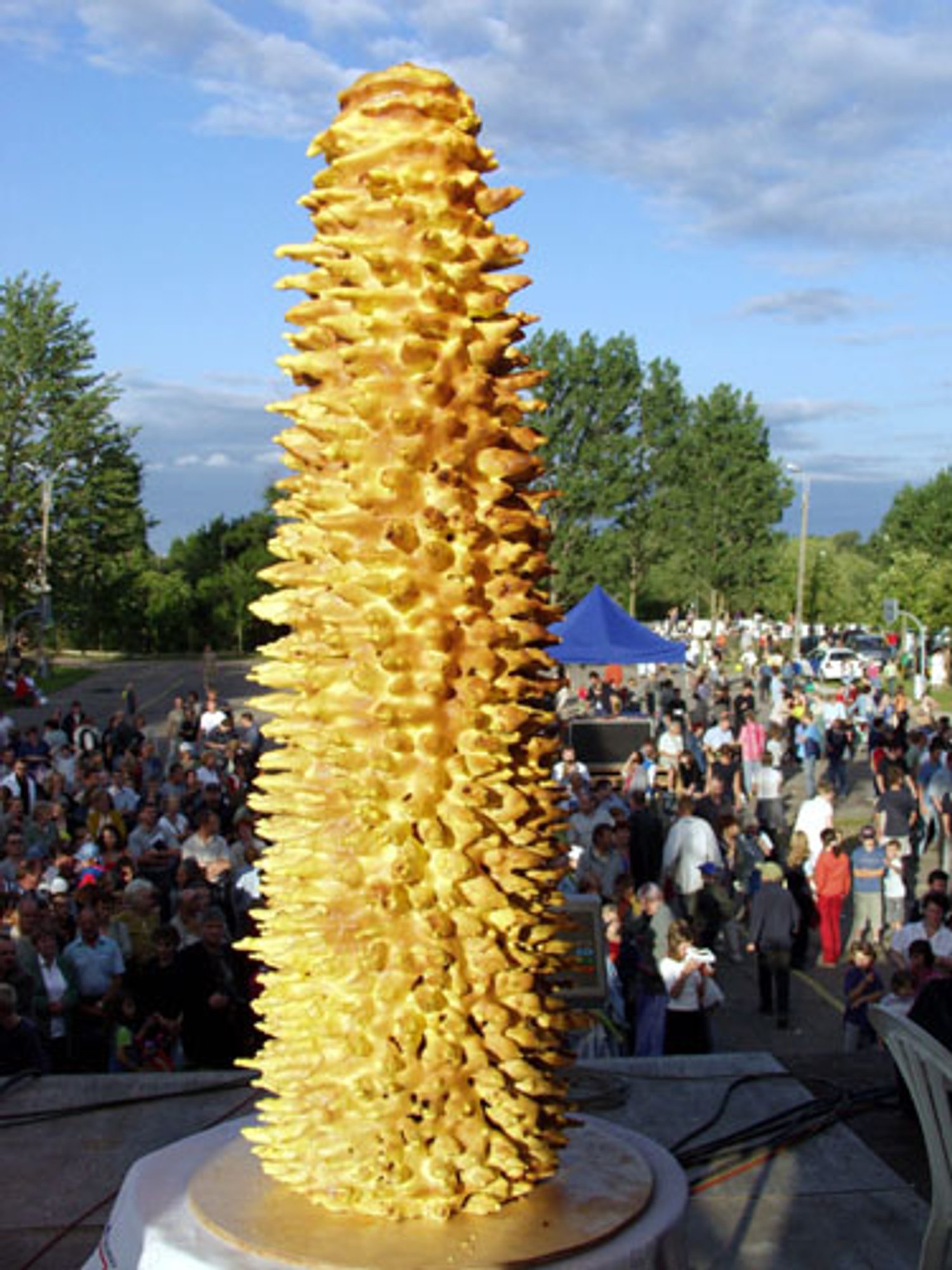 Dubline pristatomos nuotraukos ir leidiniai apie Lietuvą - Delfi kultūra