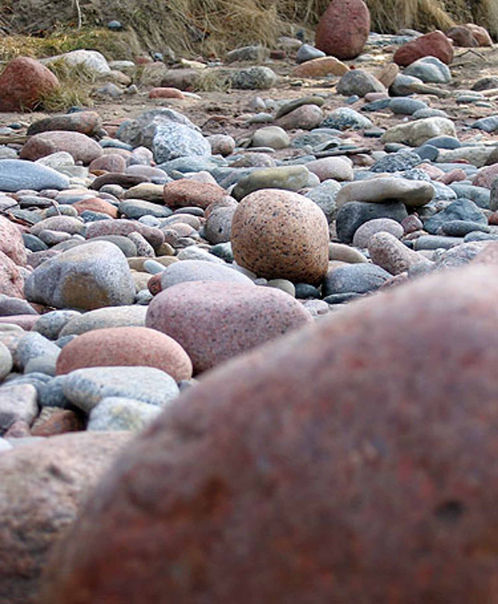 Akmens skulptūrų parke vėl kuria menininkai iš viso pasaulio - Delfi ...
