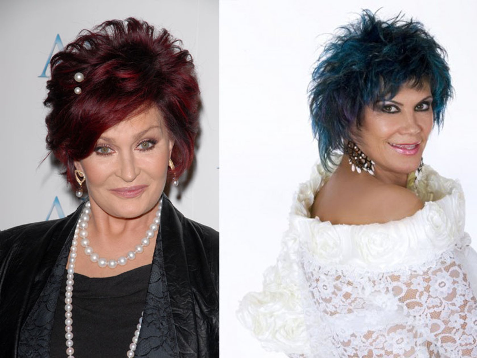 Radži gerbėja R. Šarkienė po plastinių operacijų tapo S. Osbourne ...