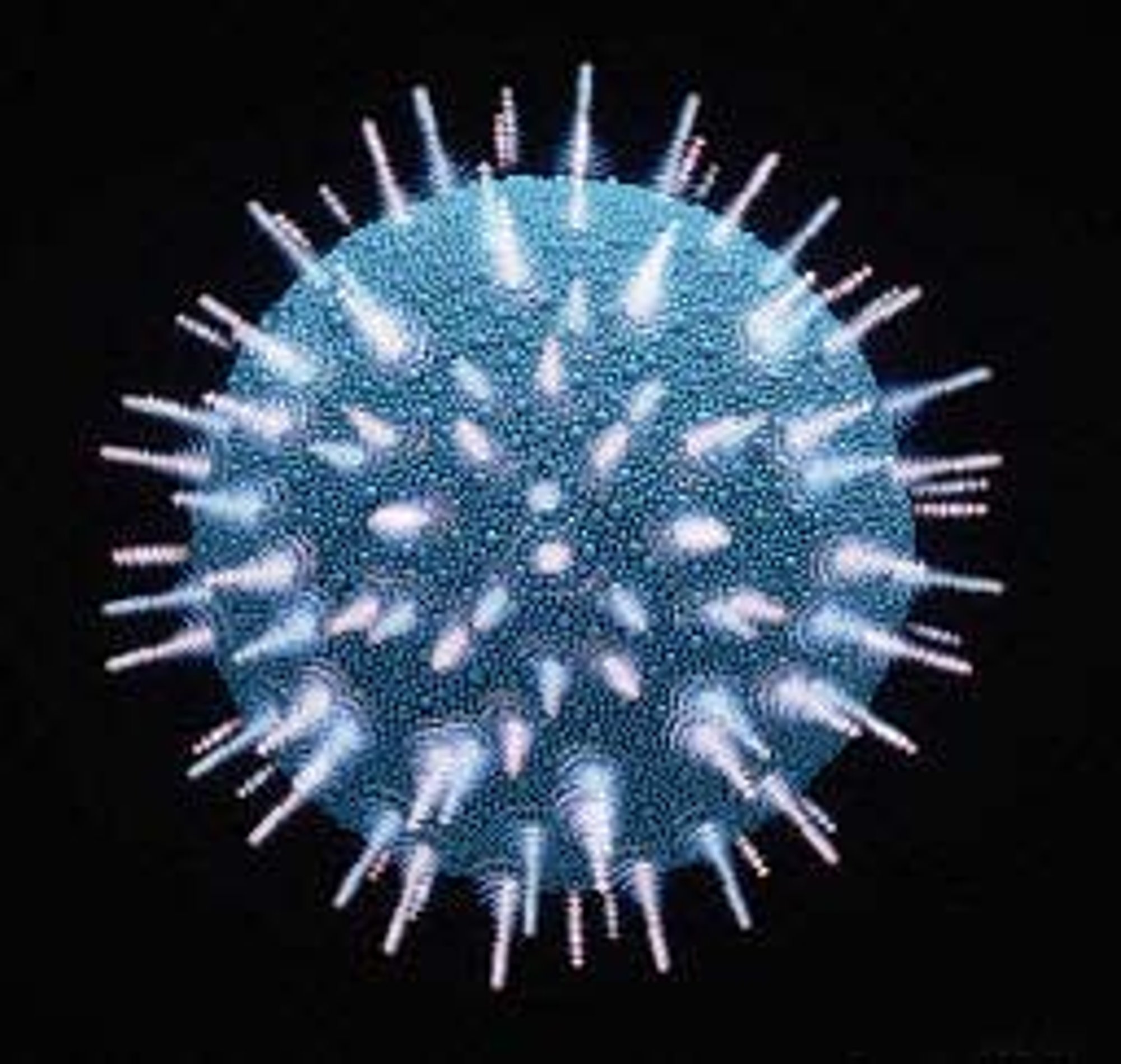 "Sobig-F - greičiausiai plintantis virusas - Delfi mokslas