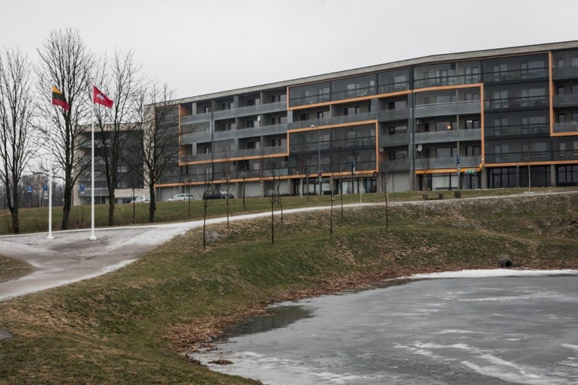 Vasario 16-ąją „Ozo parko“ gyvenvietėje plevena istorinės Lietuvos ...