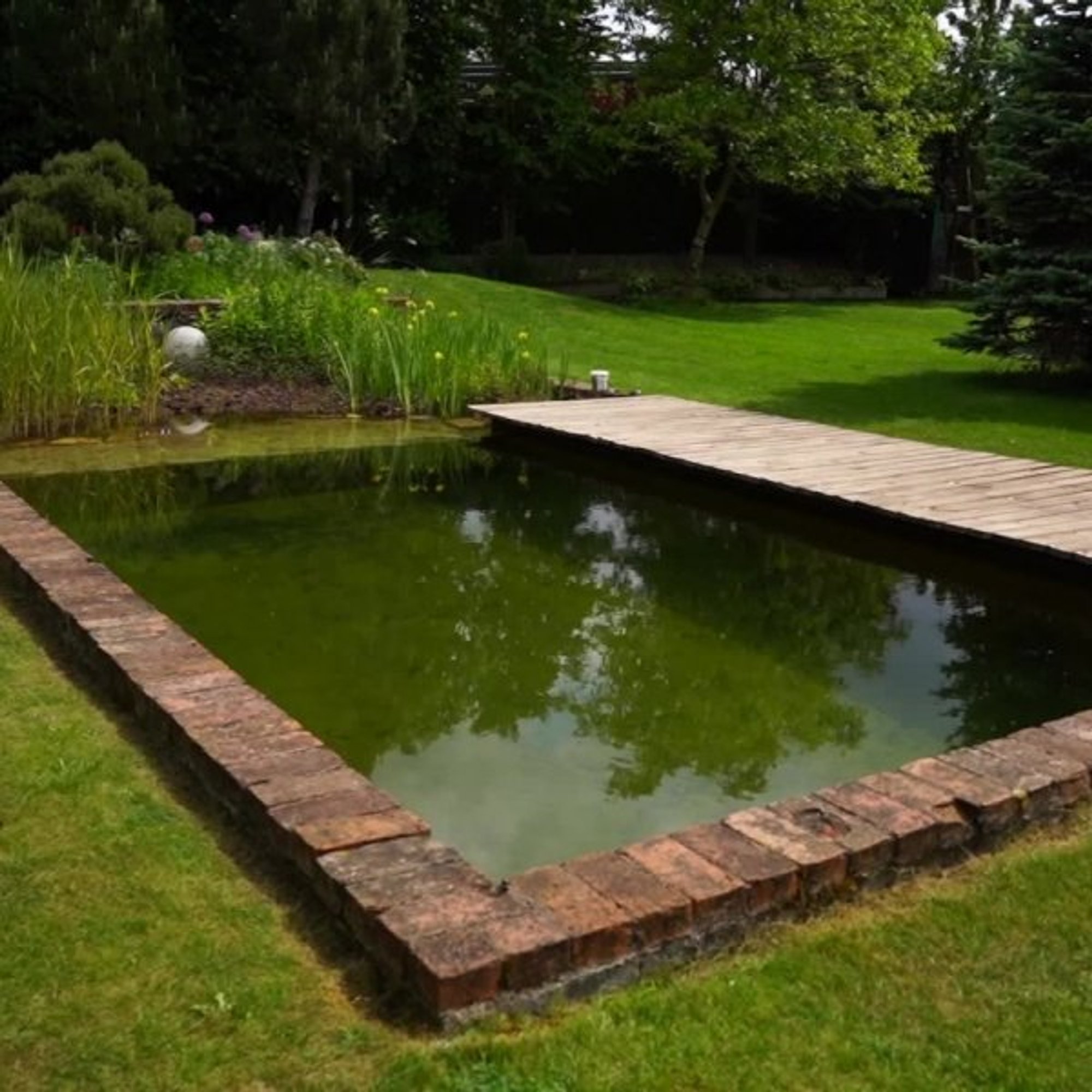 Lietuvio kieme – itin skaidrus eko baseinas: gali kiekvienas, bet yra ...