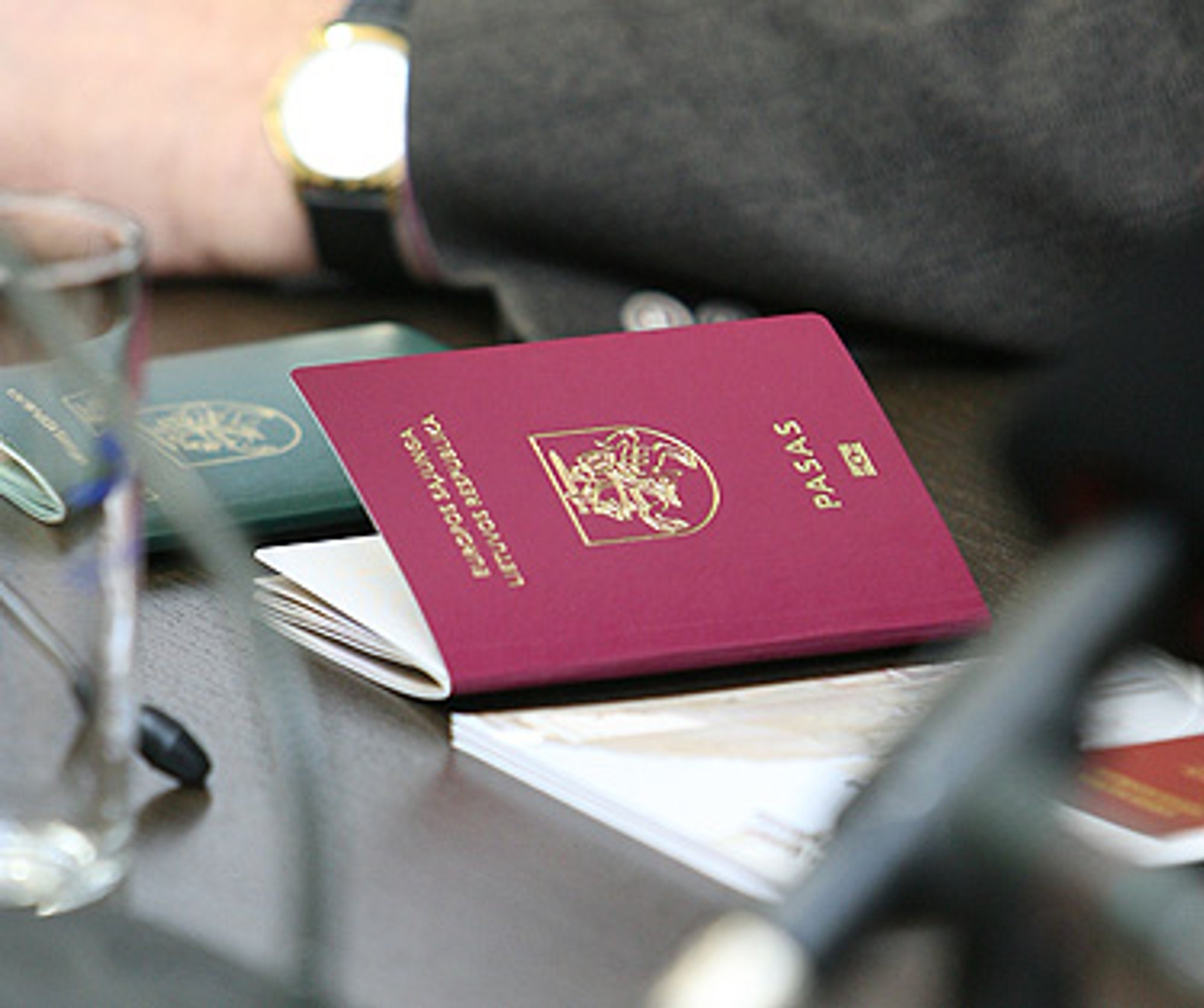 Lithuanian passports to include entry on ethnicity - Delfi EN