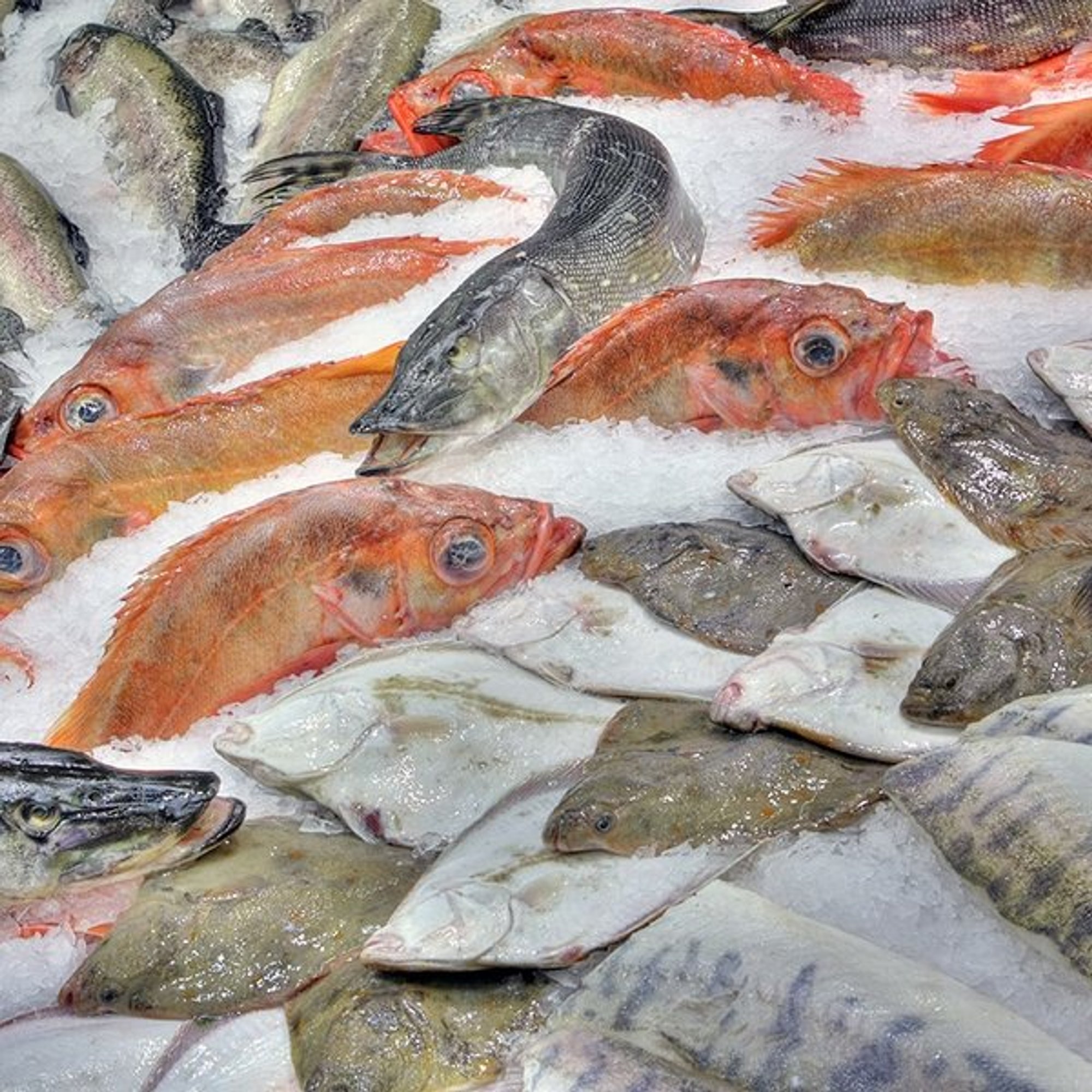 Kaip rinktis žuvį Lietuvos parduotuvėse - Delfi grynas