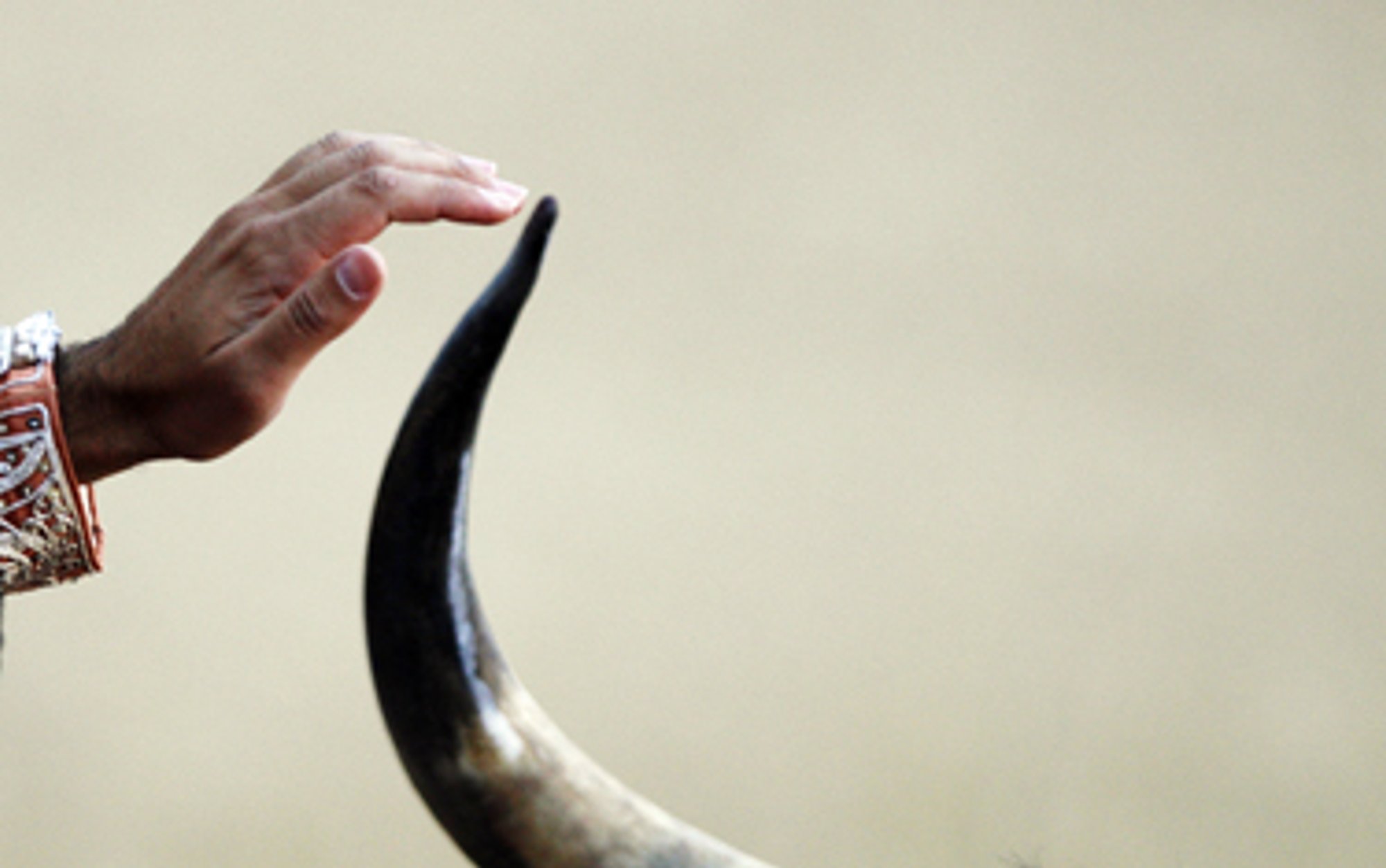 Ispanai klonuos koridos bulius - Delfi mokslas