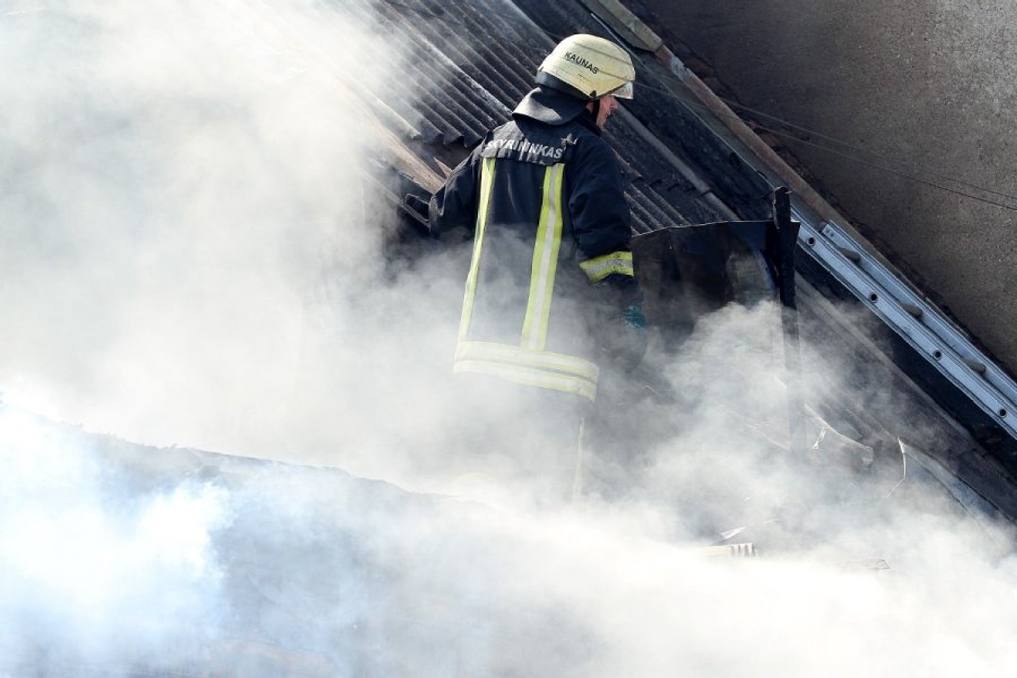 Kaune per gaisrą sudegė šuo ir karveliai - Delfi