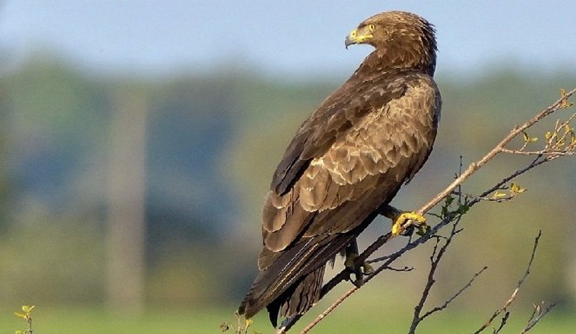 Tado Ivanausko zoologijos muziejuje fotografijų paroda mažiesiems ...