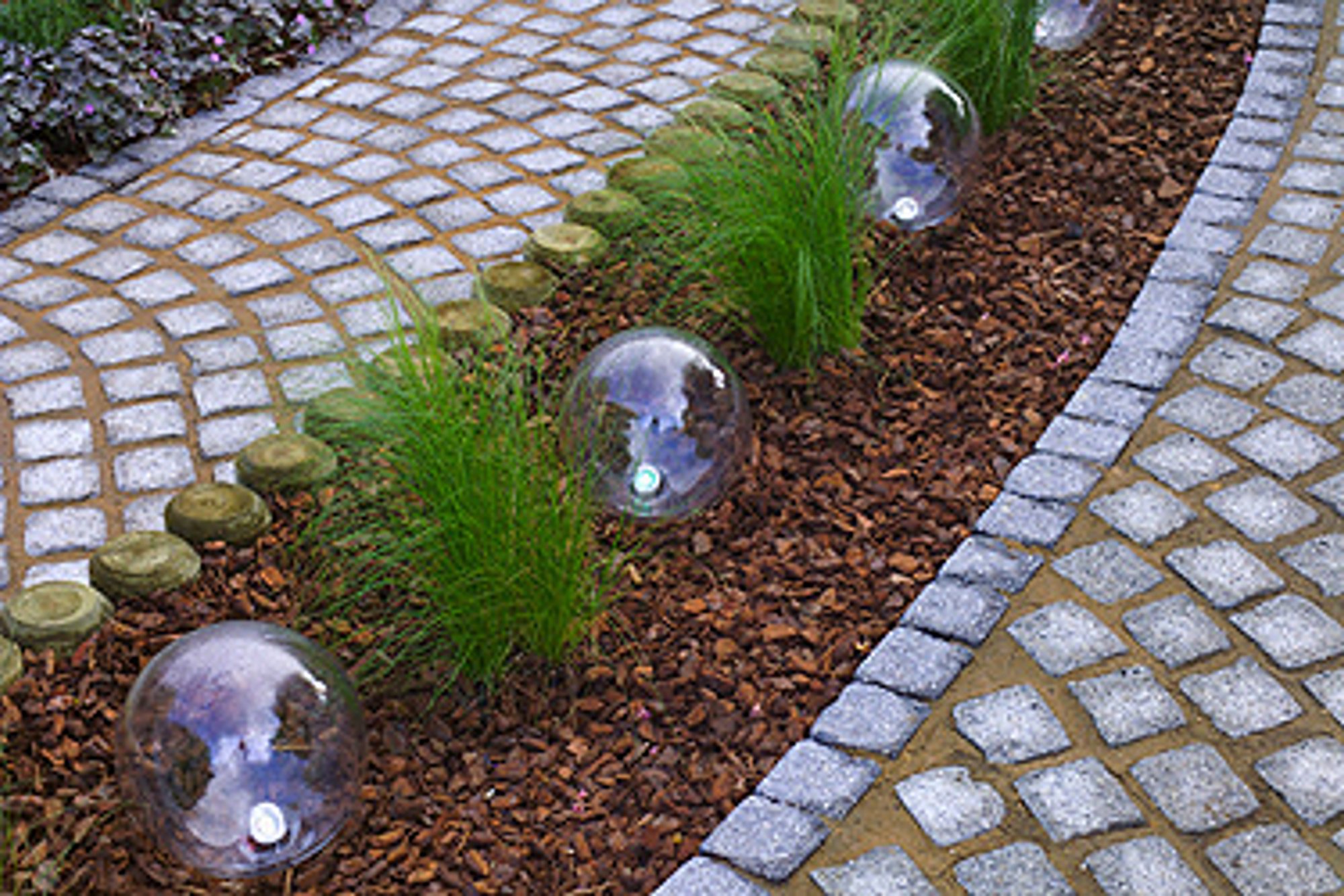 Takai takeliai - Delfi gyvenimas