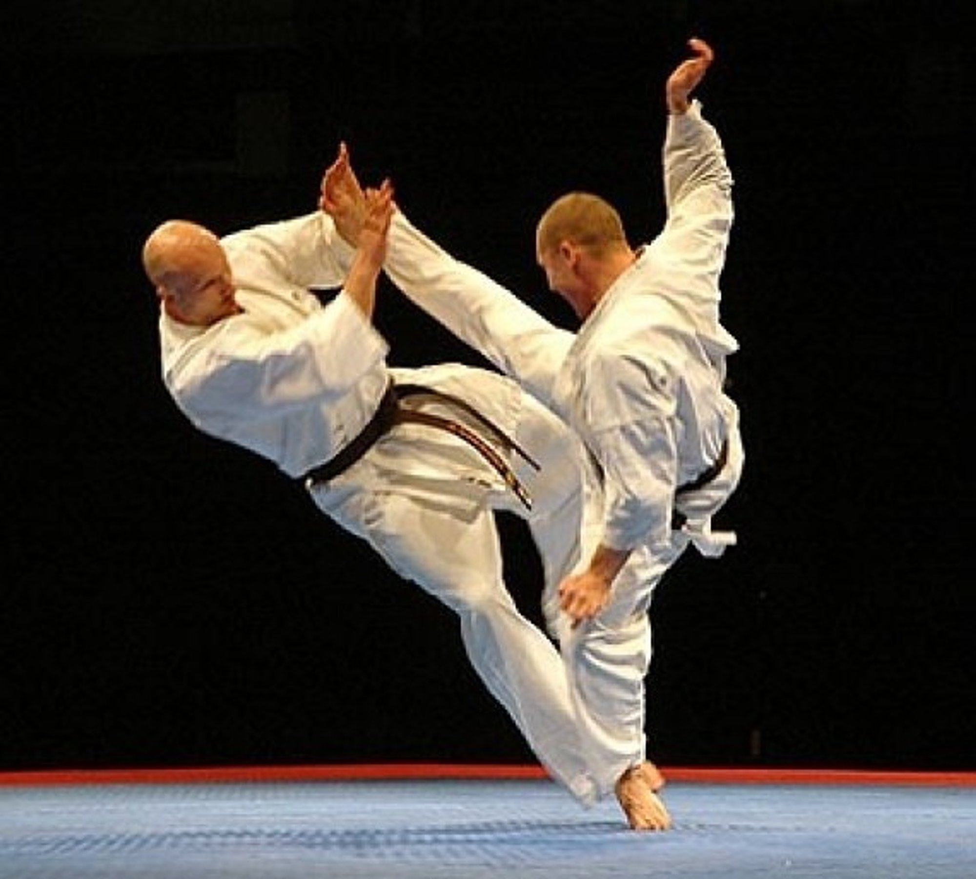 Lietuvos kyokushin karatė meistrai dirba nesiskųsdami krize - Delfi sportas