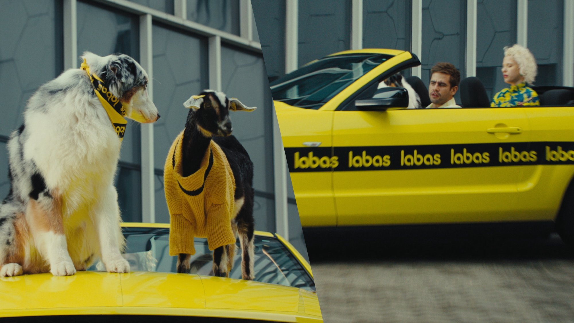 Kaip kurti efektyvią reklamą ir didinti prekės ženklo matomumą? Nuo ...