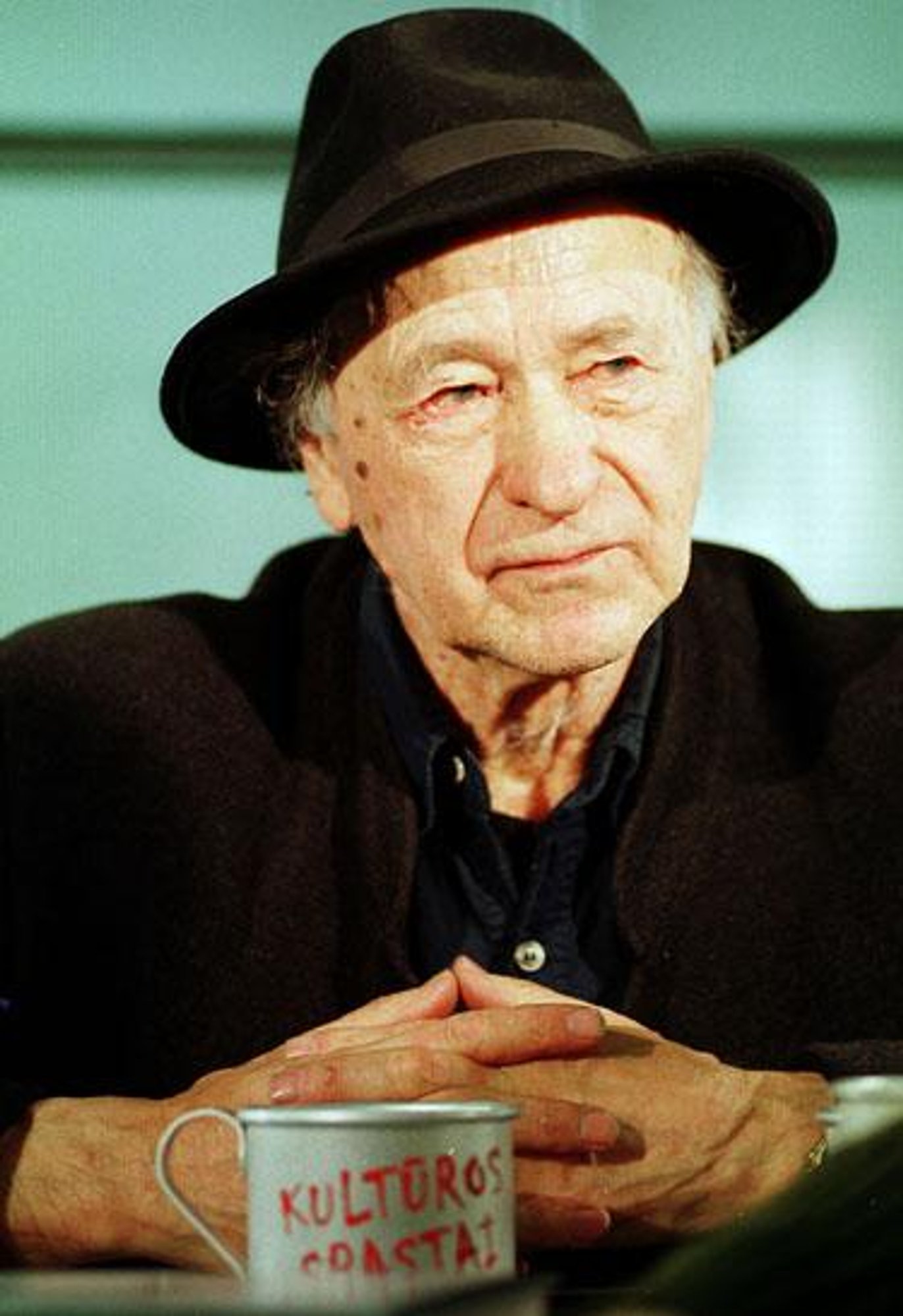 Kaune bus minimas Jono Meko 80-metis - Delfi kultūra