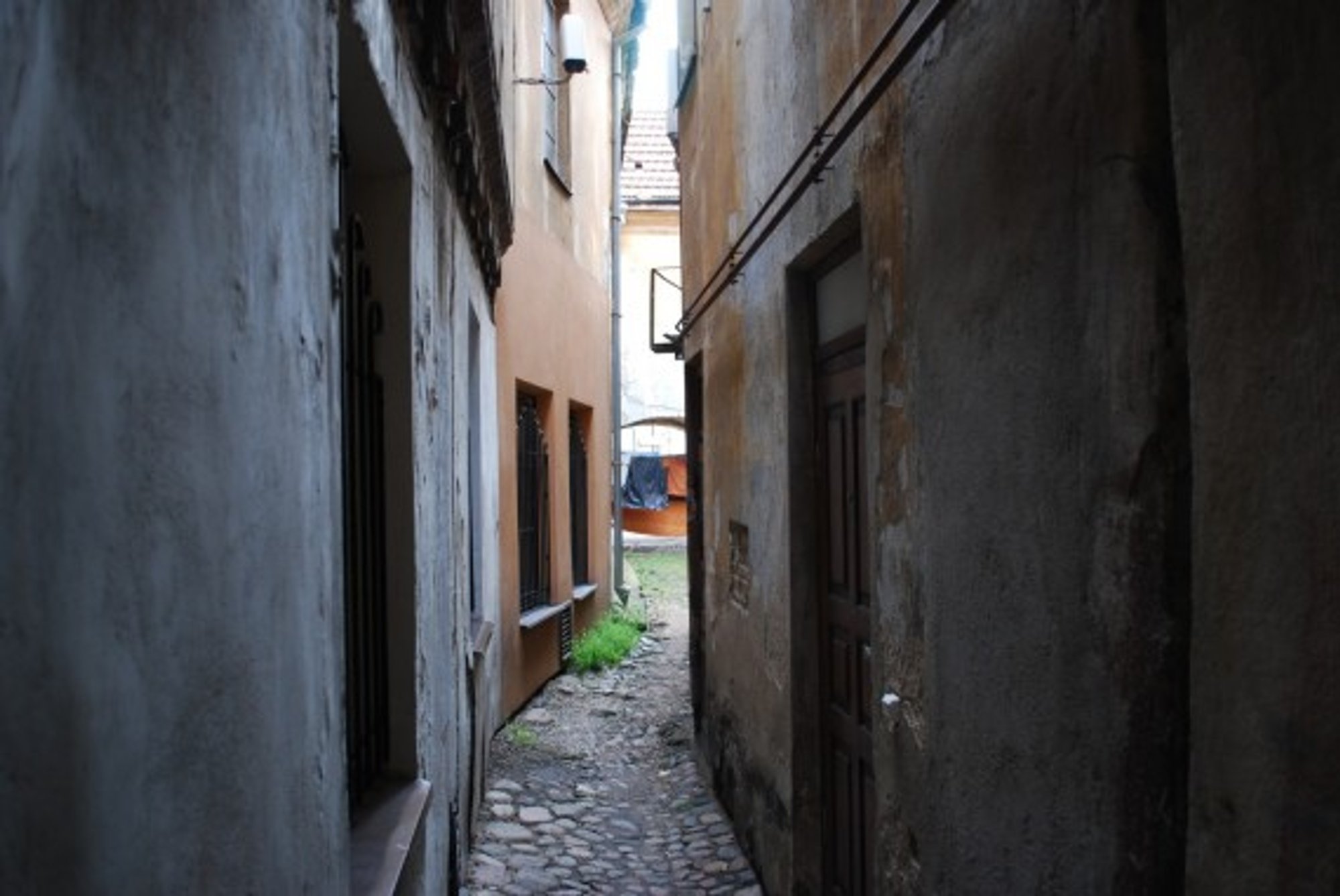 M.Kaminskis: lenkų mažuma nepavojinga Lietuvai - Delfi