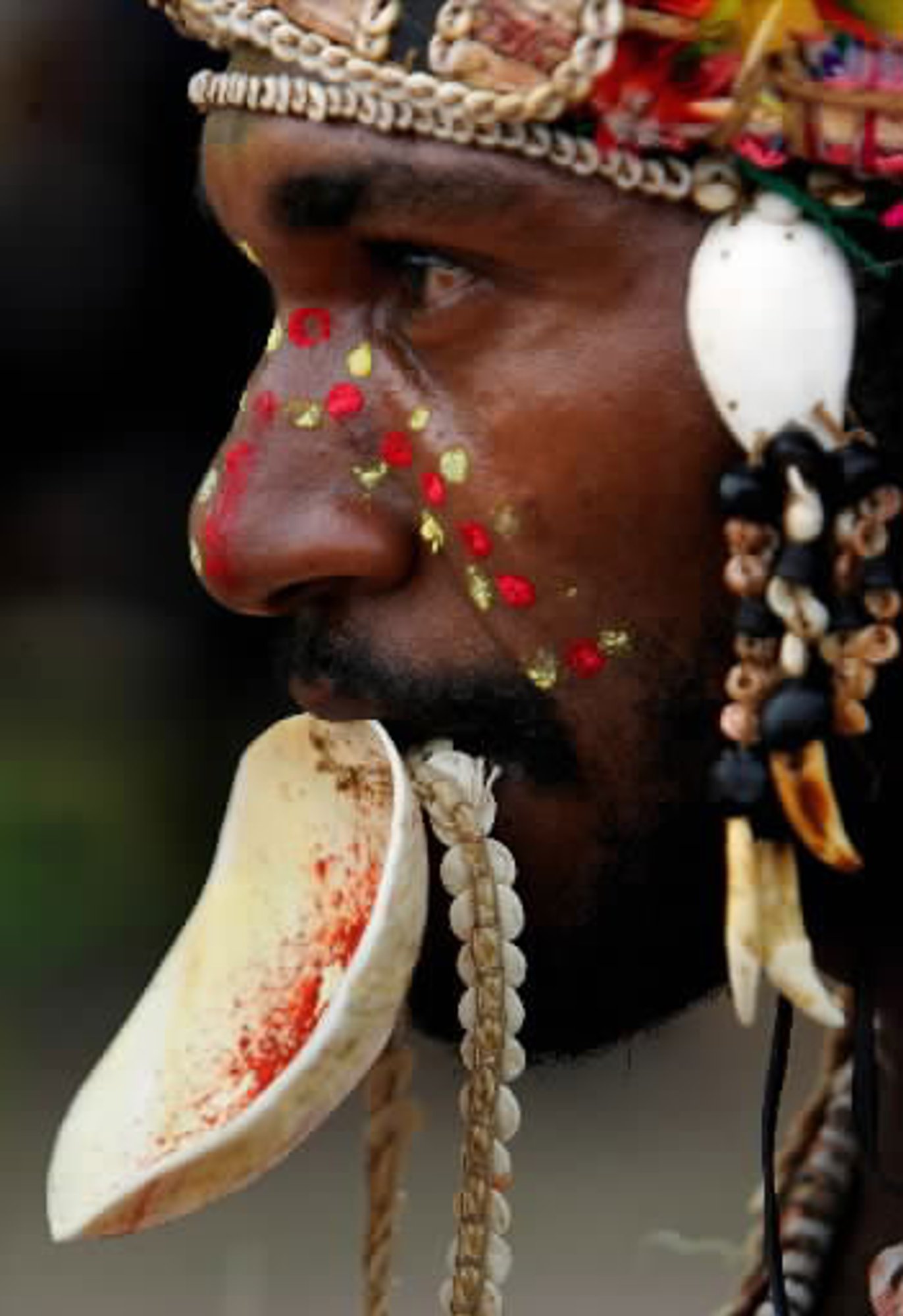 Atskleista tamsi Papua Naujosios Gvinėjos kaimų istorija - Delfi