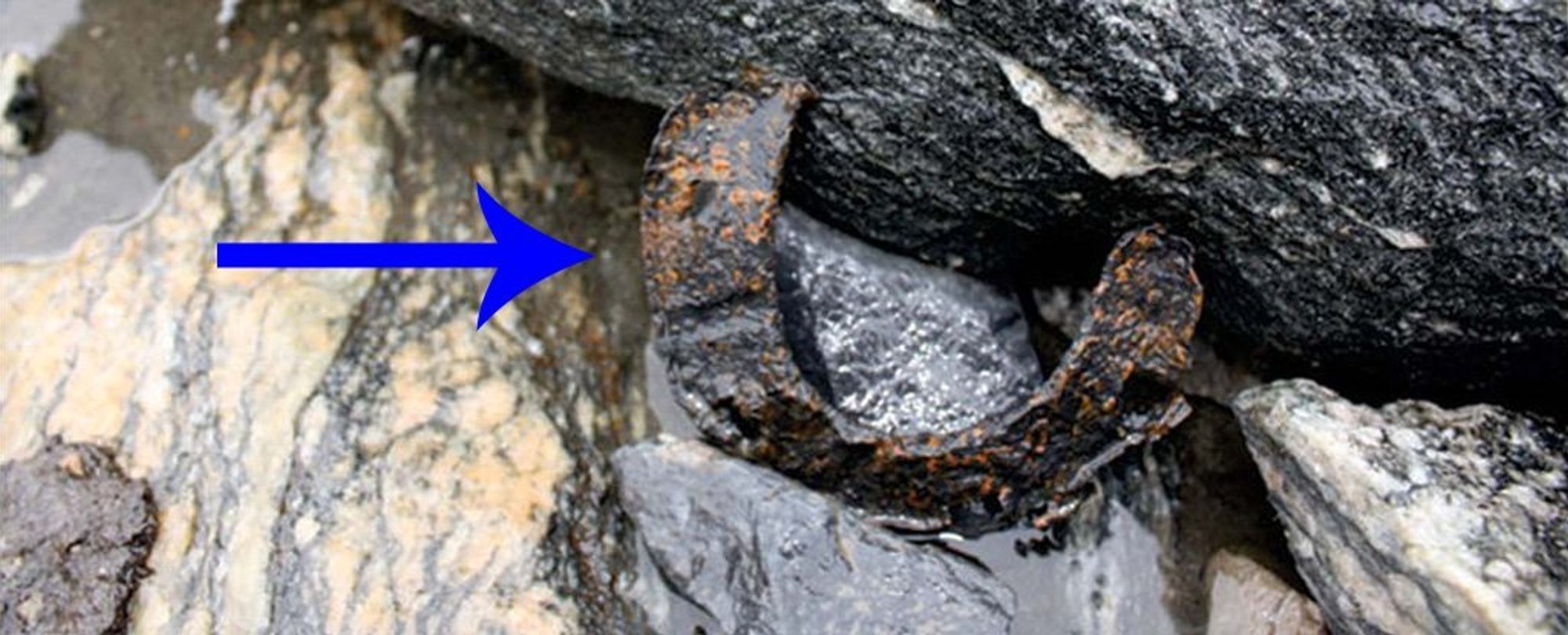 Tirpstantis ledas pateikė dovaną archeologams: atrado vikingų ...