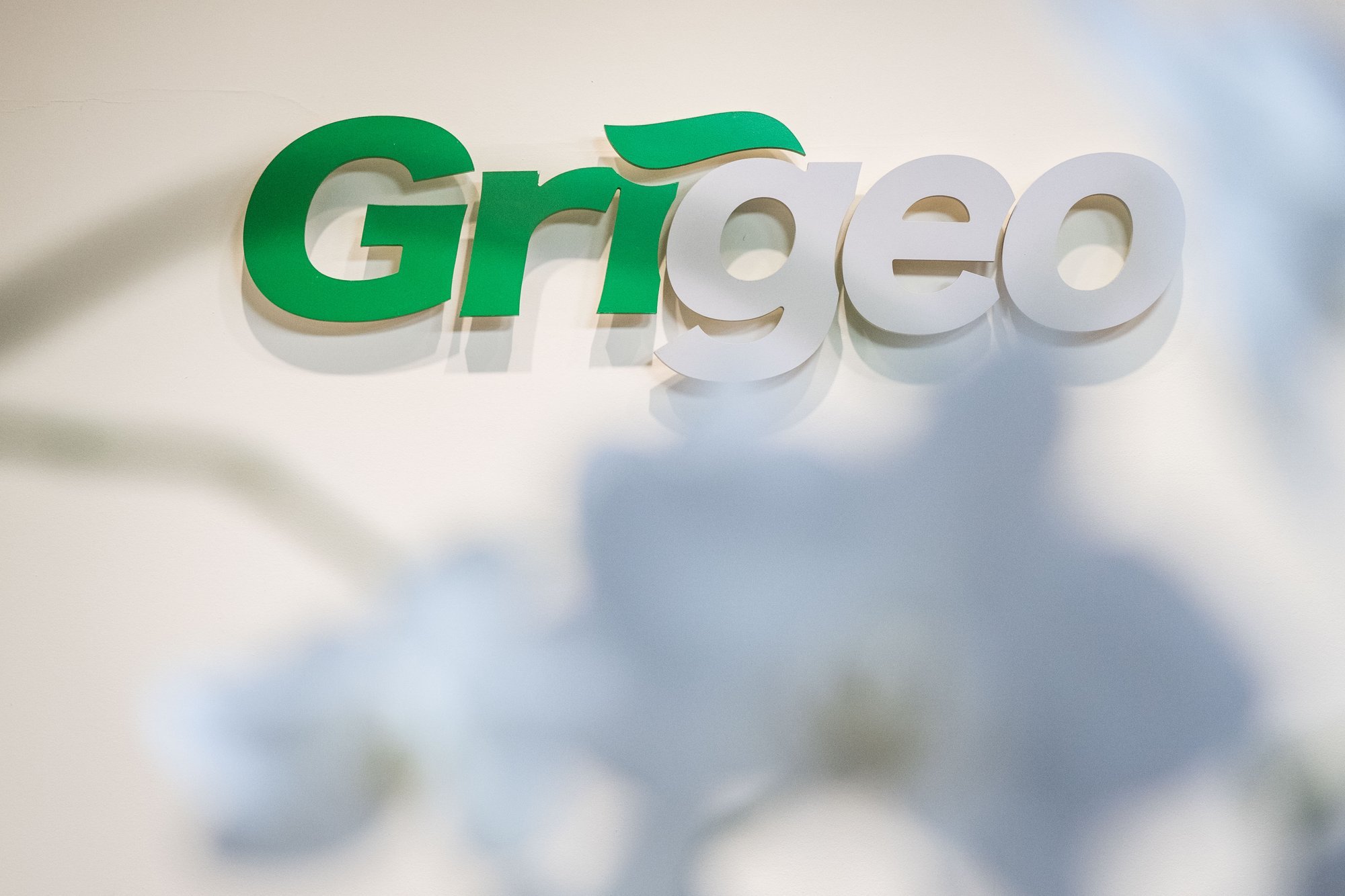 „Grigeo“ grupės pelnas 2022 m. mažėjo - Delfi verslas