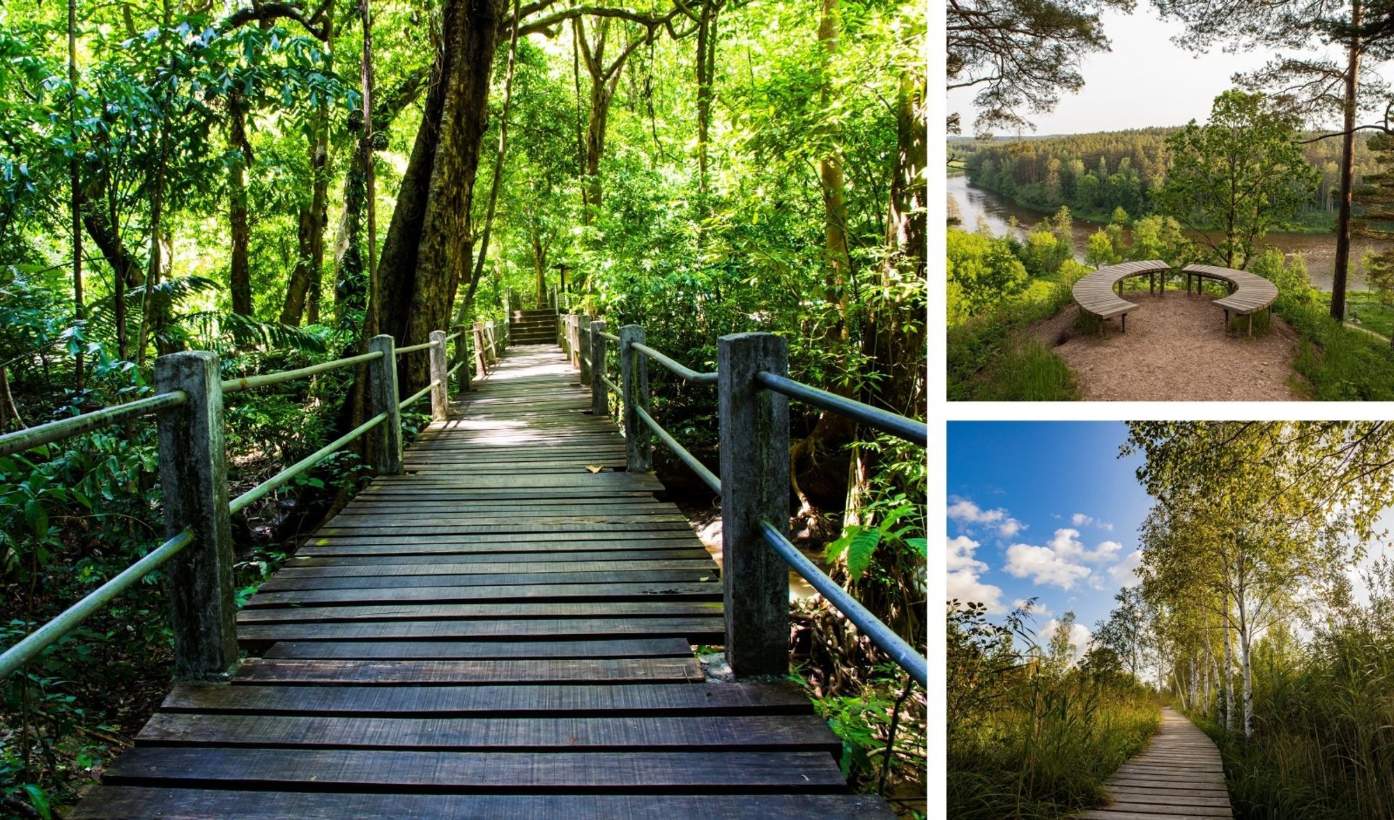 TOP 3 išskirtiniai pažintiniai takai Lietuvoje: gamtos vaizdai atima ...