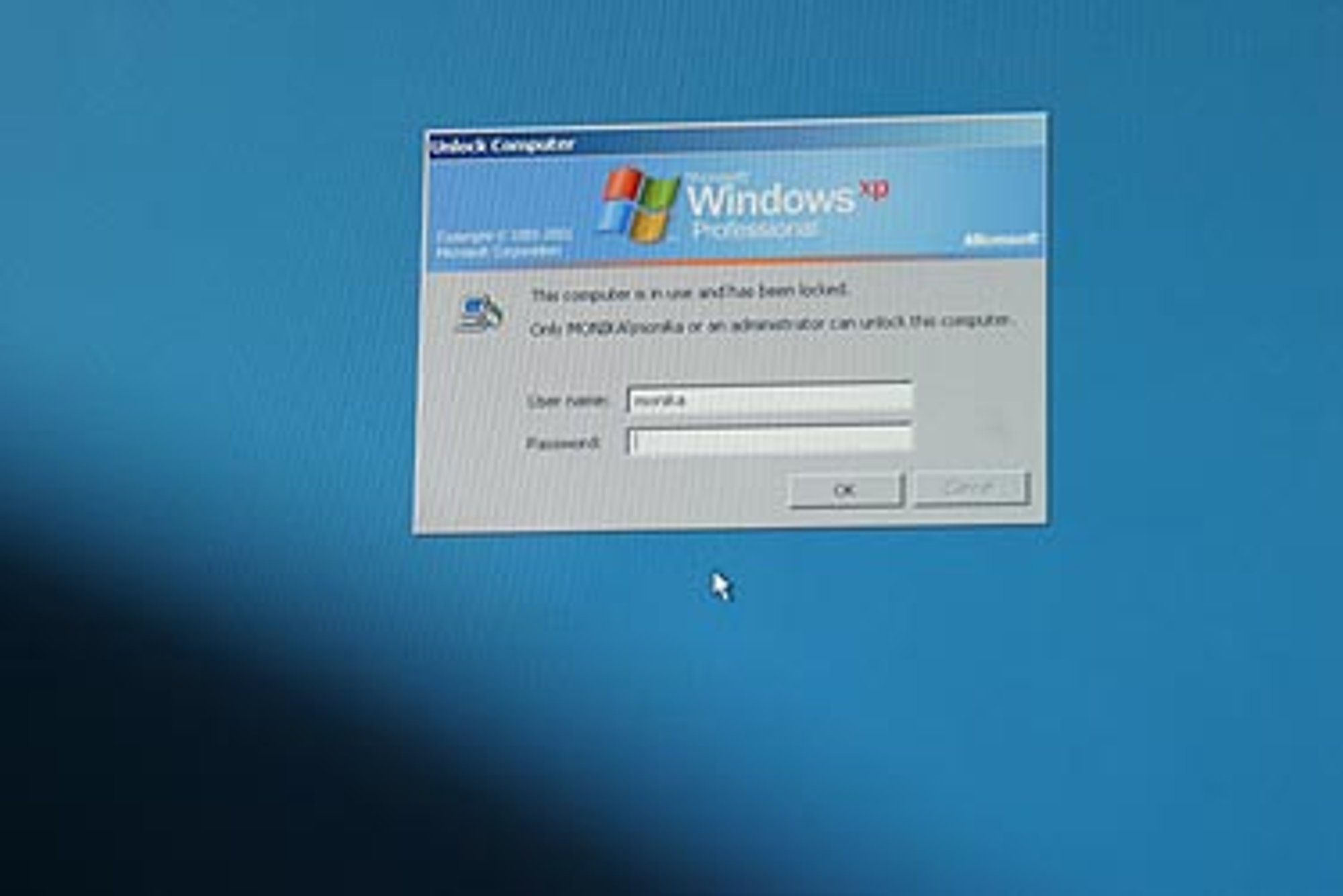 „Windows XP“ bus pardavinėjama ilgiau nei planuota - Delfi mokslas