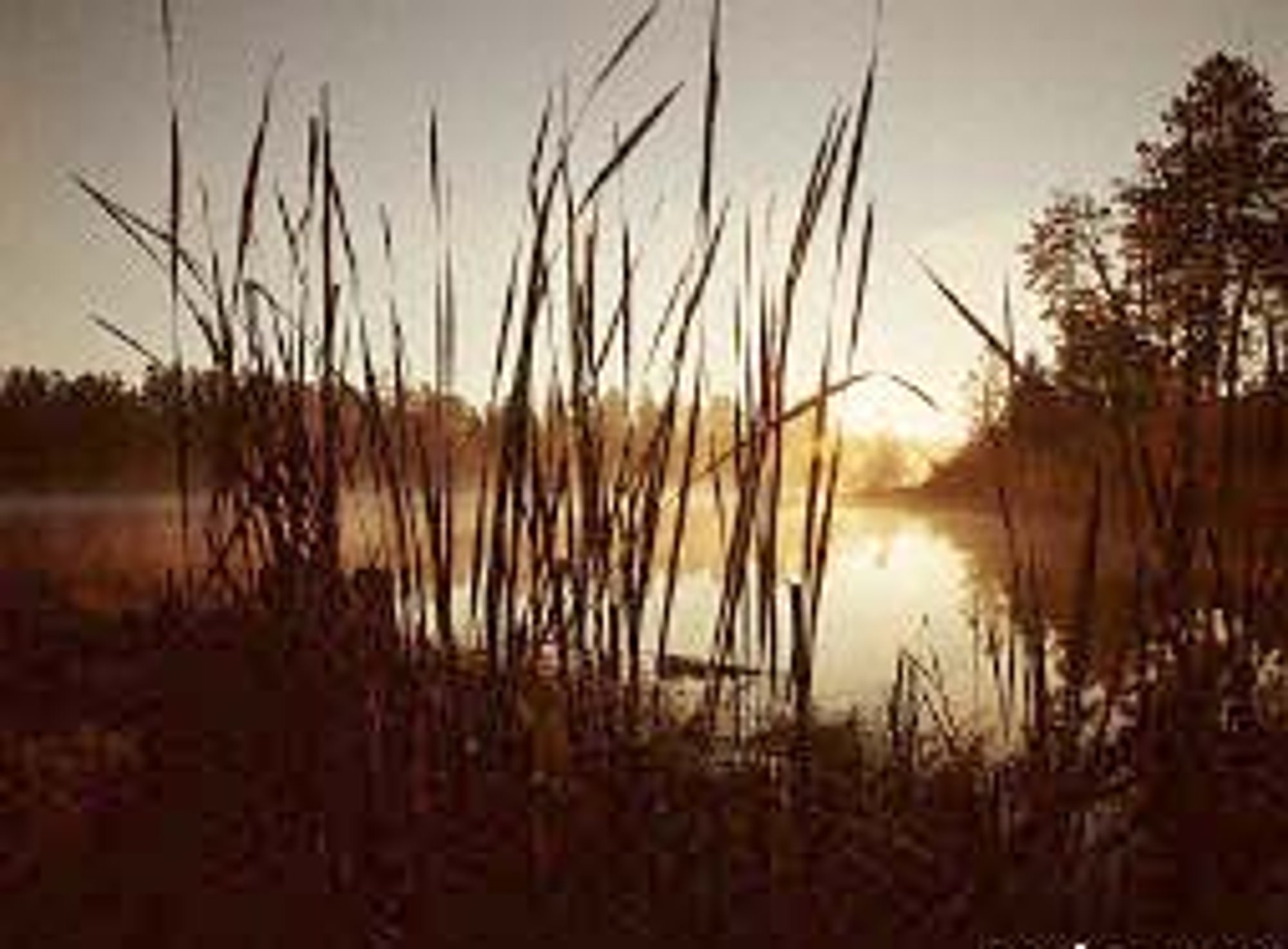 Didžiausiems pasaulio ežerams gresia pavojus - Delfi mokslas