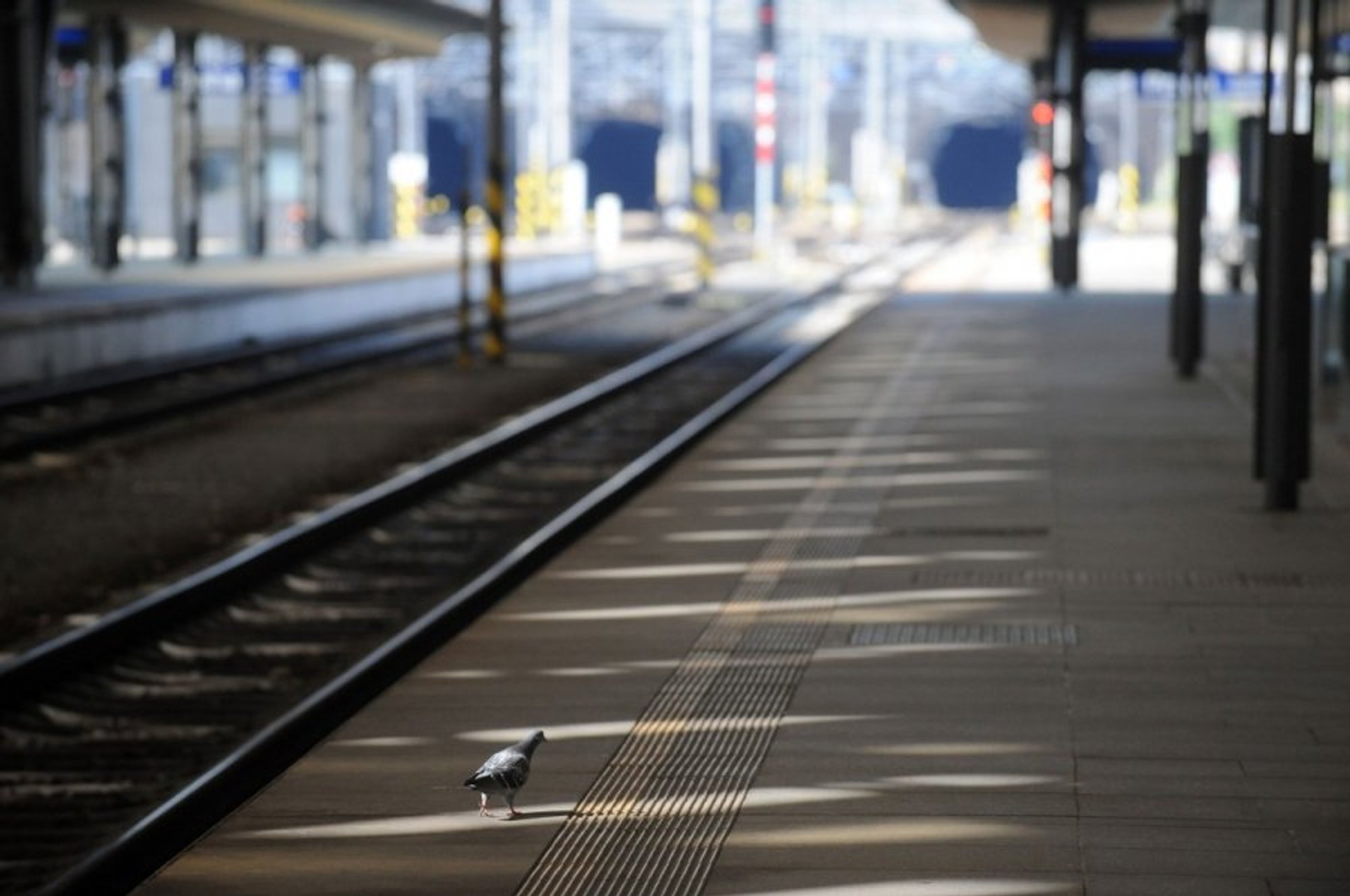 Prahos metro bus paleistas traukinys vienišiams - Delfi