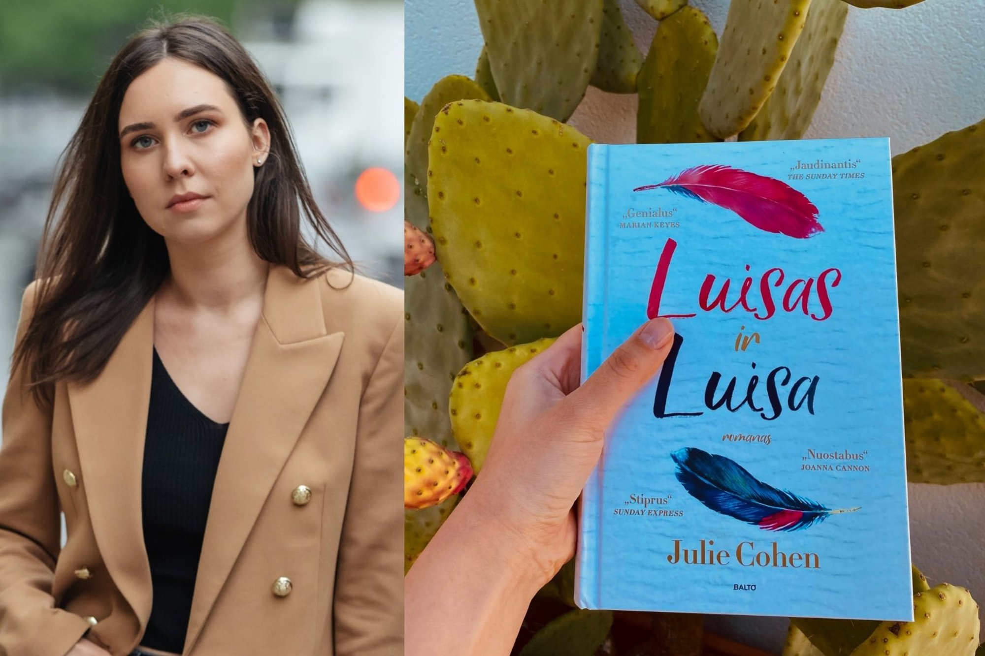 Julie Cohen „Luisas ir Luisa“: jei jis būtų traktoristas iš Bezdienių ...