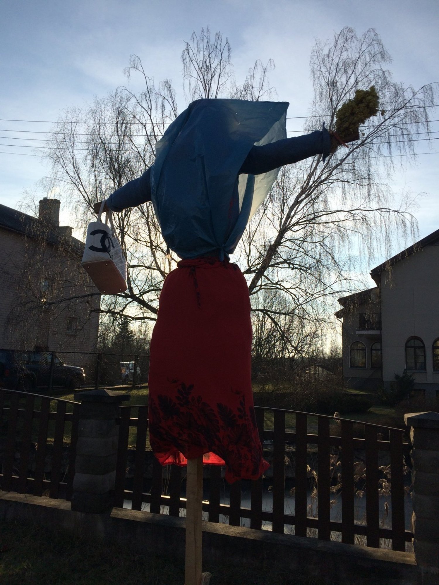 Vilnietis sostinėje užfiksavo išskirtinę morę - Delfi pilietis