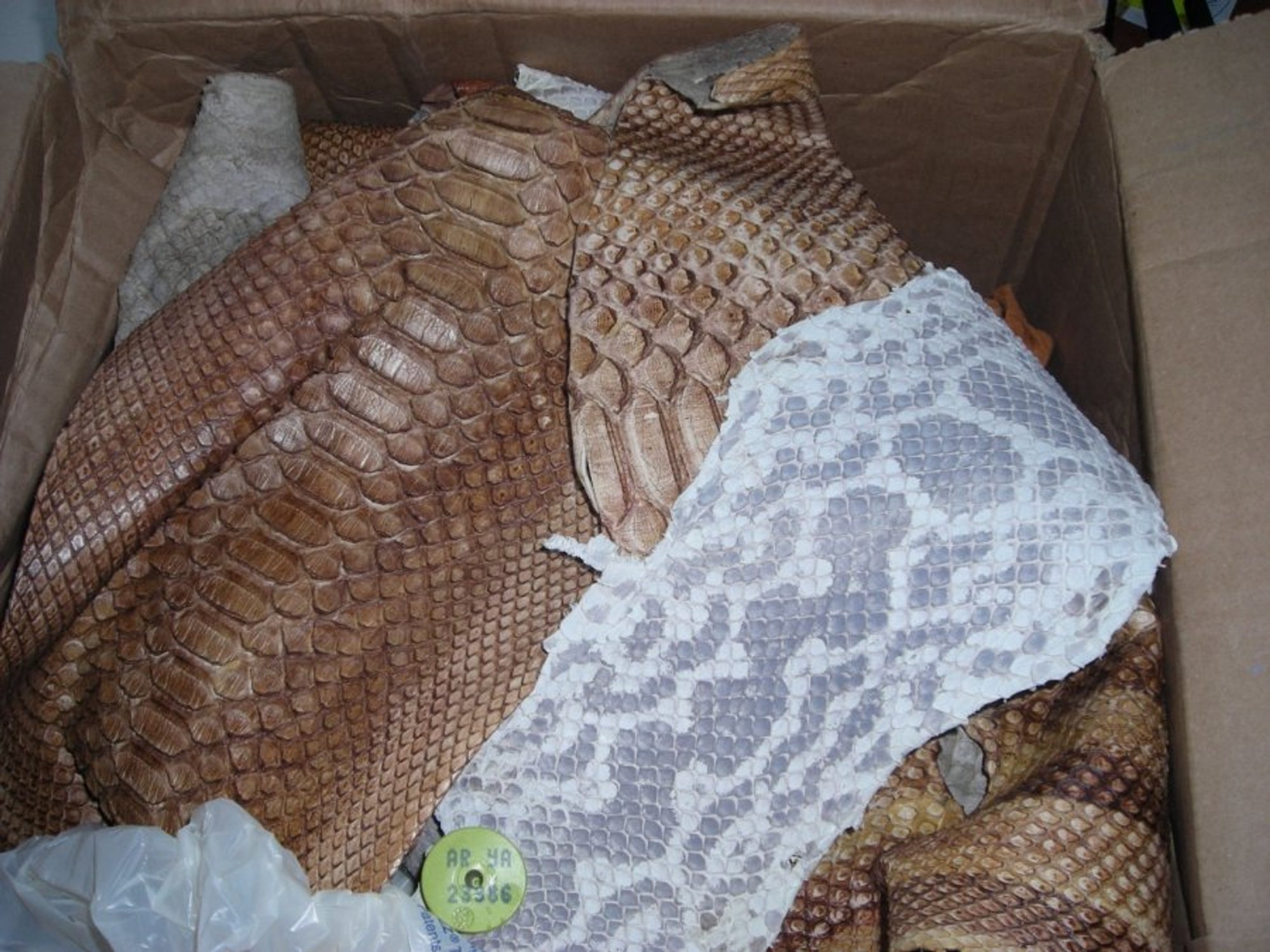 Vilniaus muitininkai siuntoje surado anakondos odą - Delfi