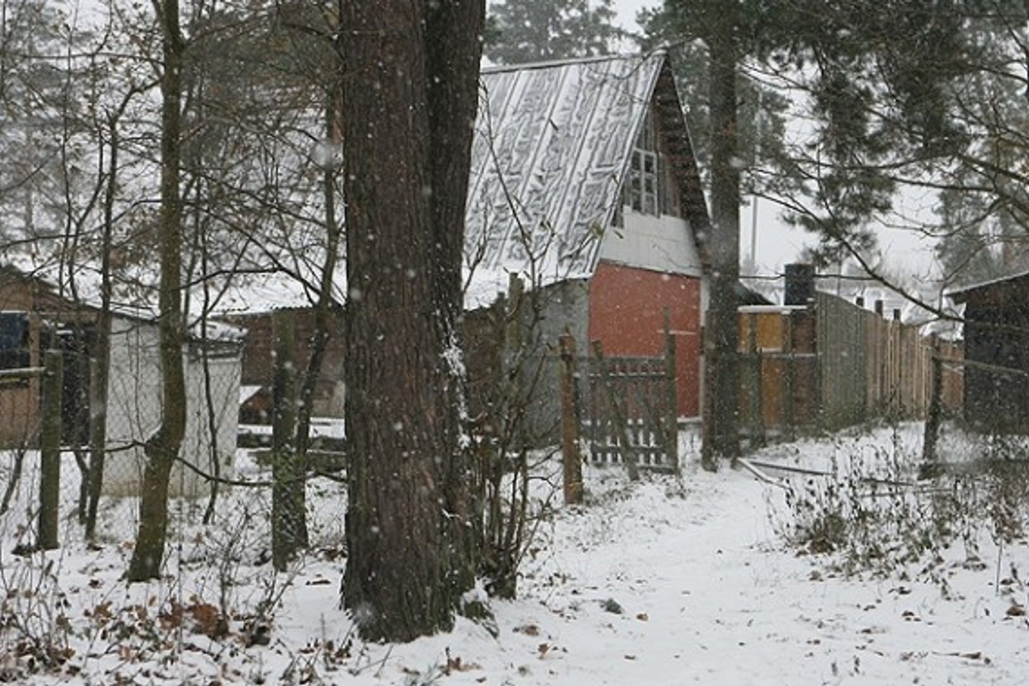 Vilniaus tabore – baso narkomano lavonas - Delfi