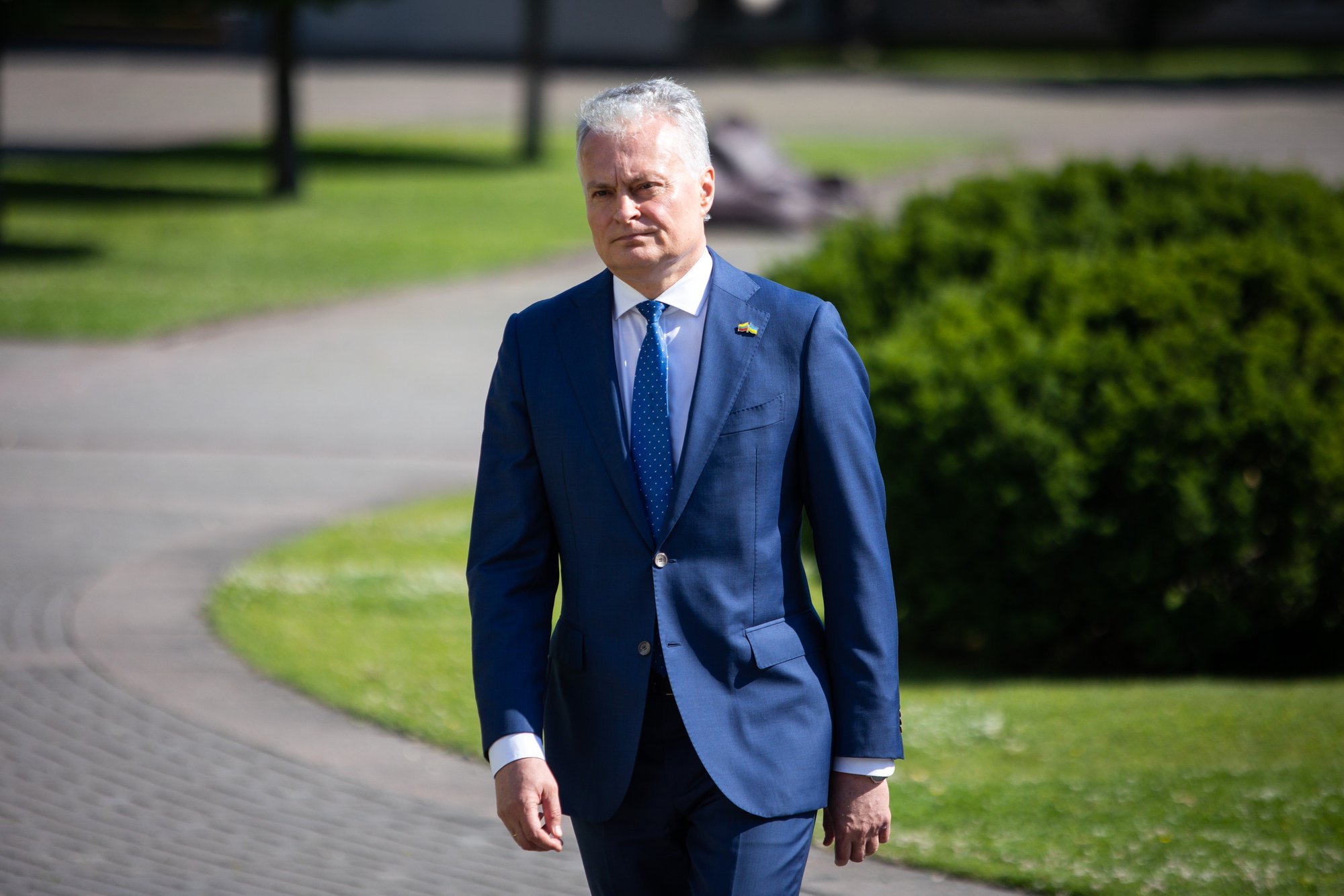 Nausėda: Lithuanian diaspora artists are a strong cultural force - Delfi EN