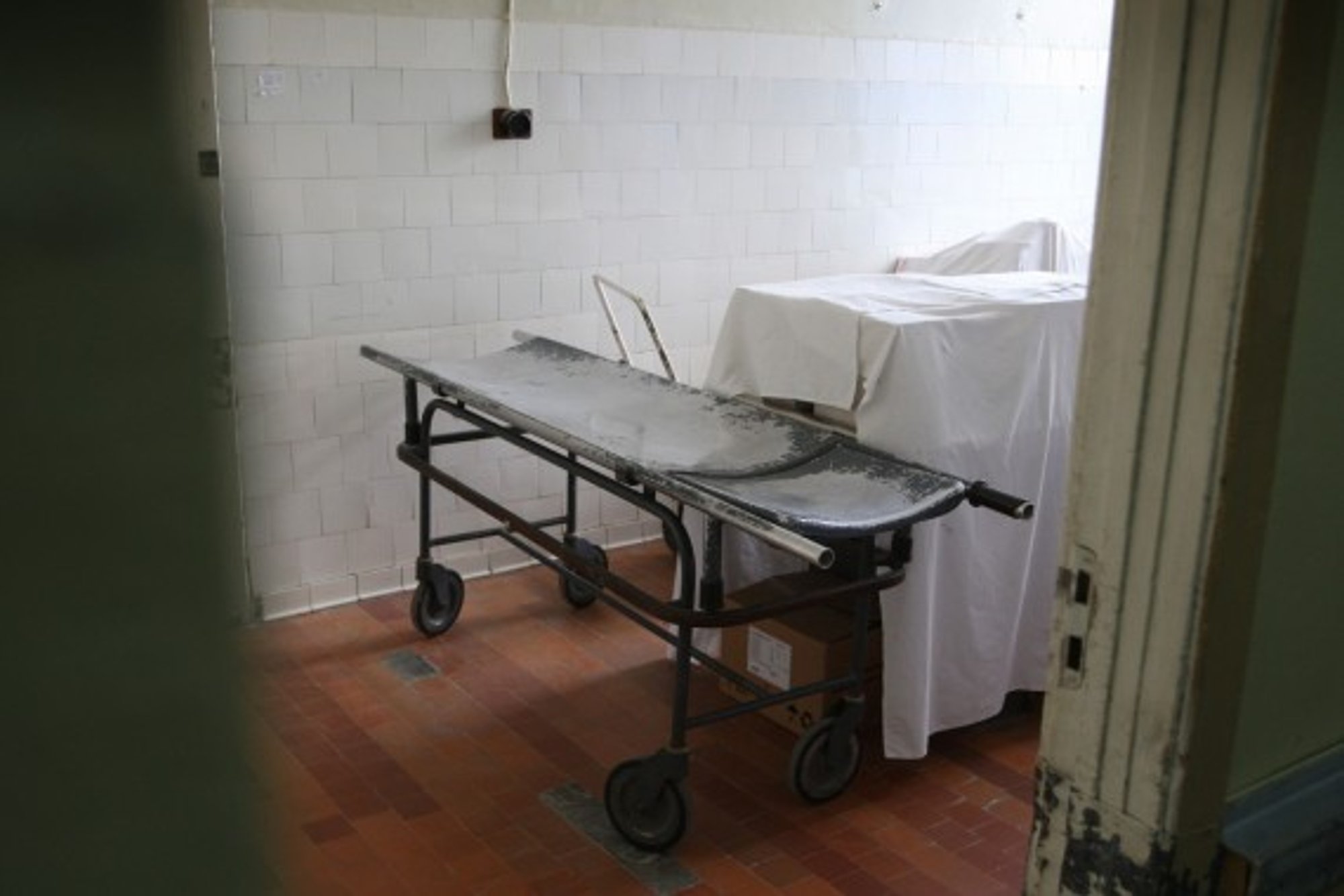 Morgams – valdžios žabangai - Delfi