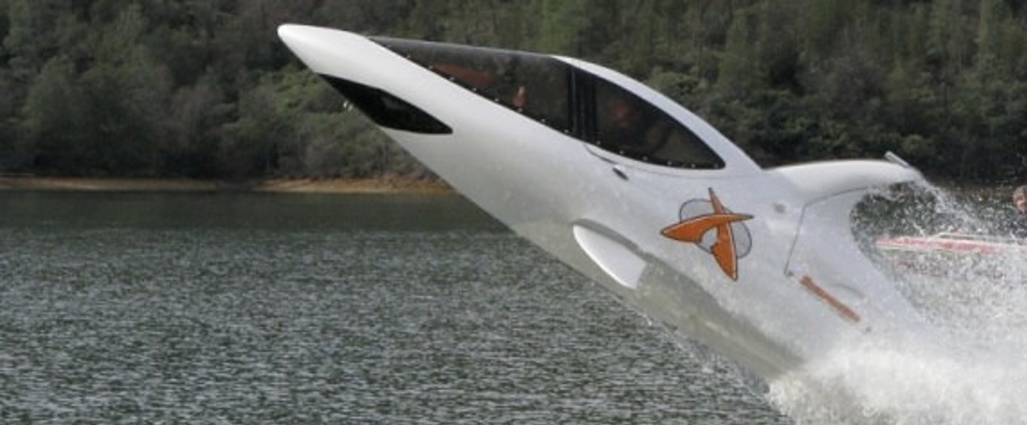 Skraidantis ir nardantis ryklys - Delfi gyvenimas