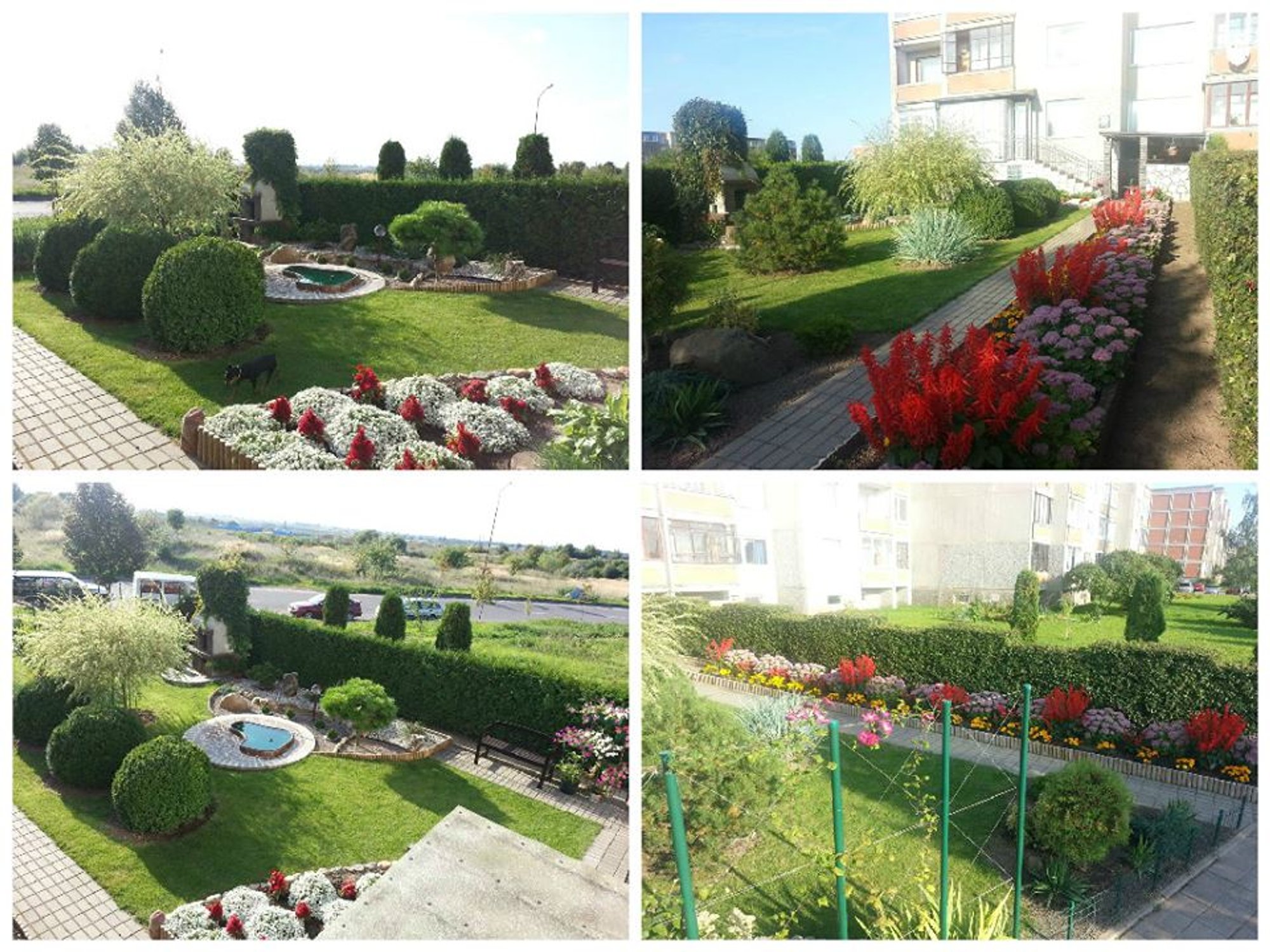 Išrinkti gražiausi Lietuvos gėlynai - Delfi gyvenimas