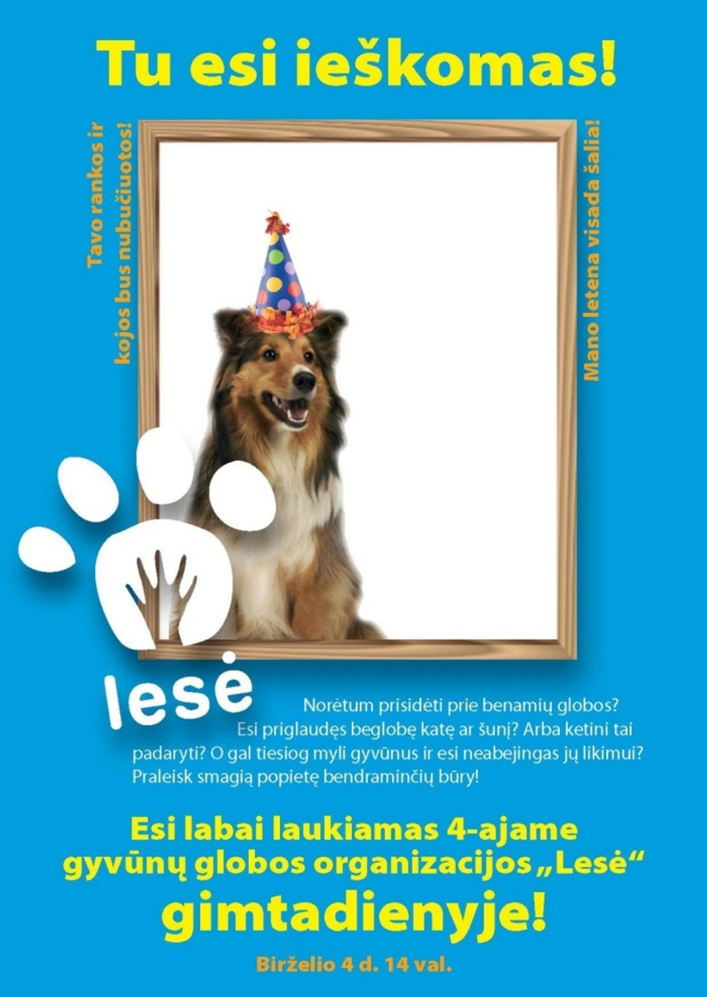 Gyvūnų prieglauda kviečia į atvirų durų dieną ir iškylą - Delfi pilietis