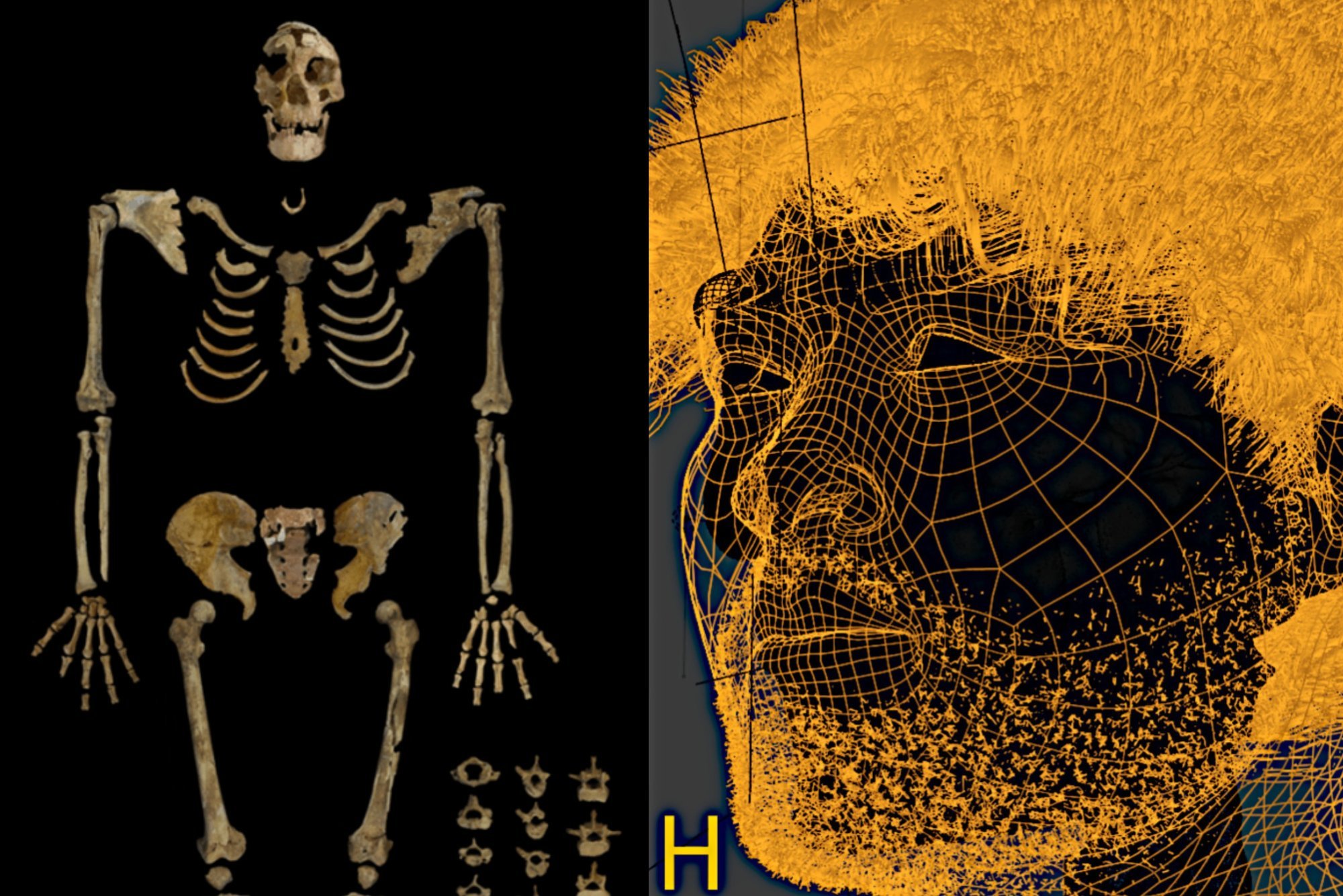 30 000 metų amžiaus žmogaus skeletą radę mokslininkai pagal kaukolę atkūrė, kaip atrodė jo ...
